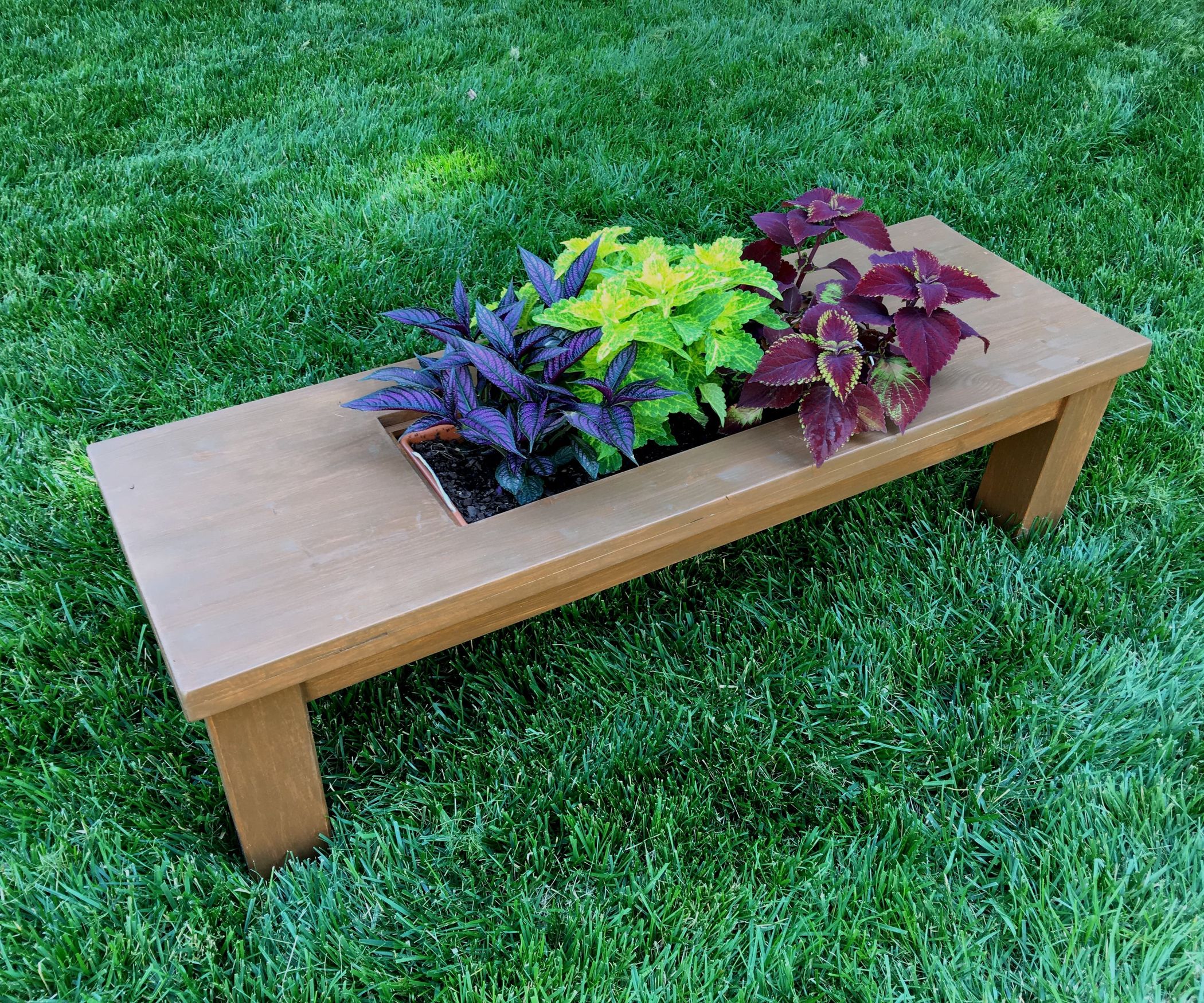 Coffee Table Planter : 6 Steps (with Pictures) - Instructables