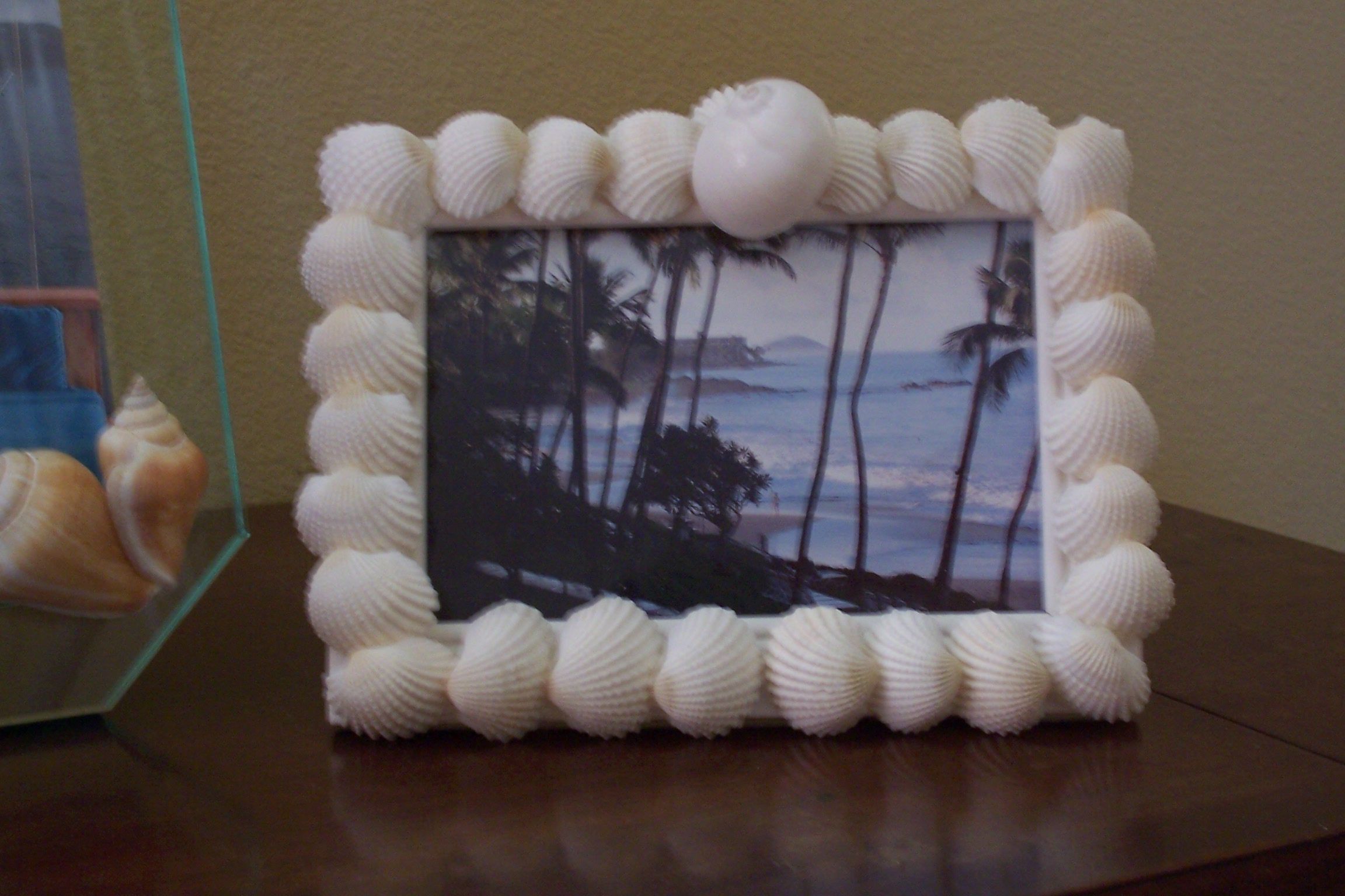 Shell-Embellished Photo Frames : 3 Steps - Instructables