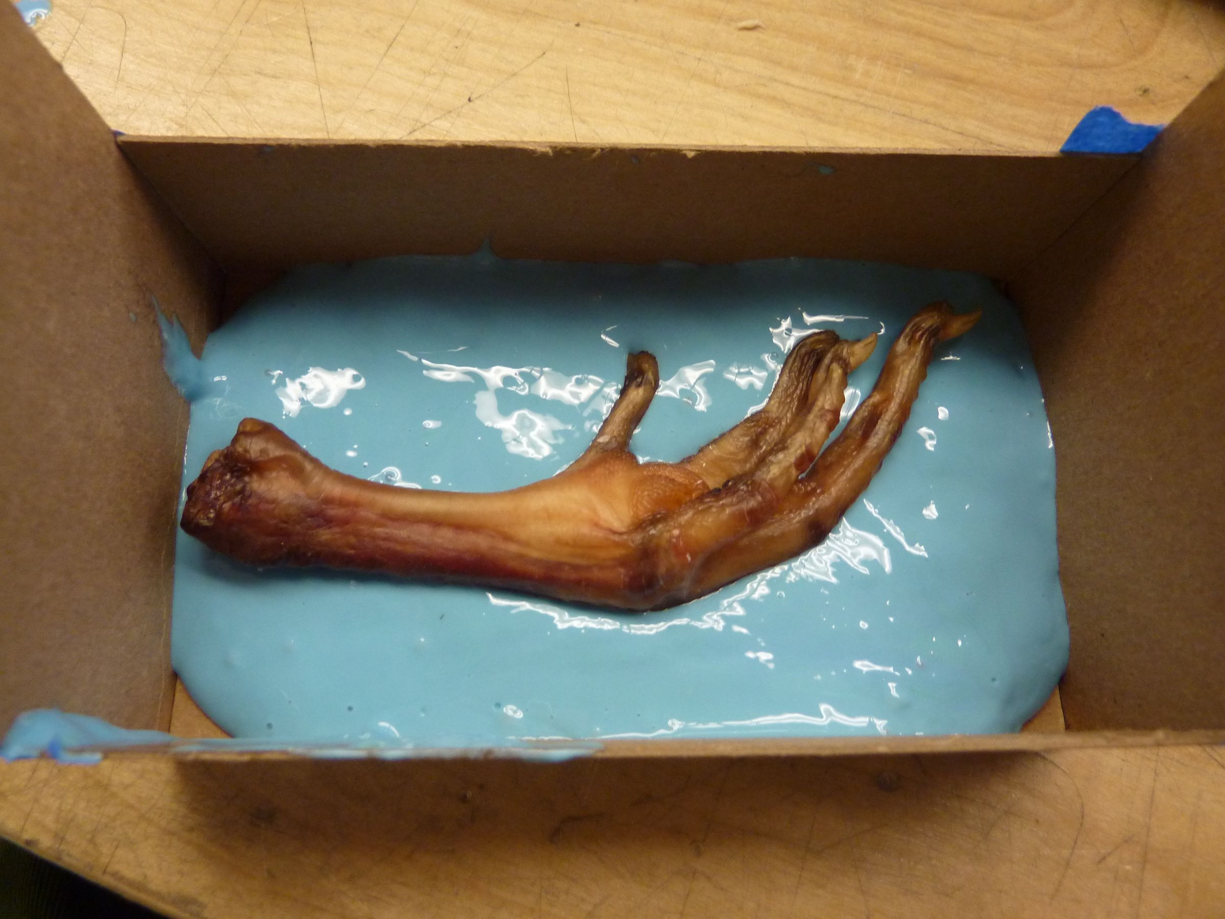 How to Make a Two Part Silicone Mold of a Chicken Foot : 4 Steps ...
