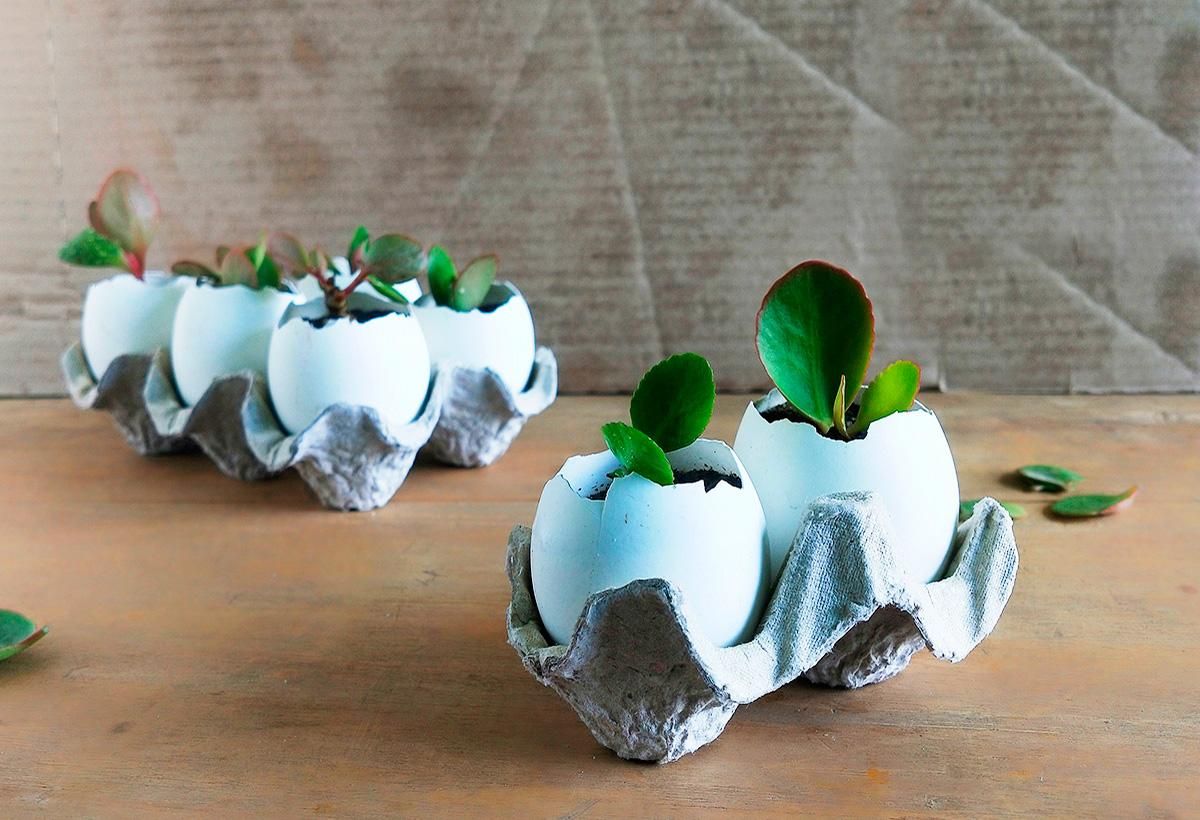 Egg Shell Planter | Gardening : 5 Steps (with Pictures) - Instructables