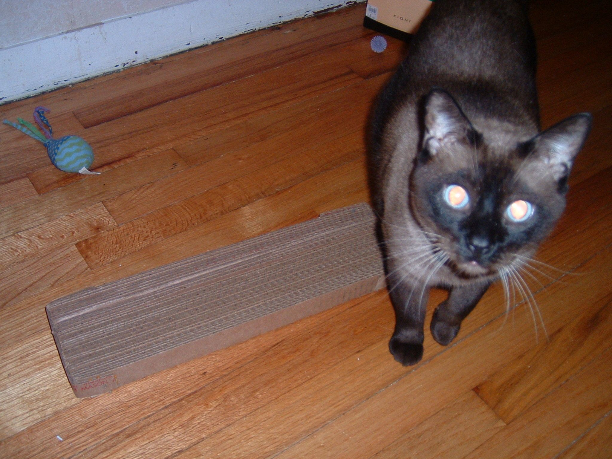 Make a FREE CAT SCRATCHING BOARD - Instructables