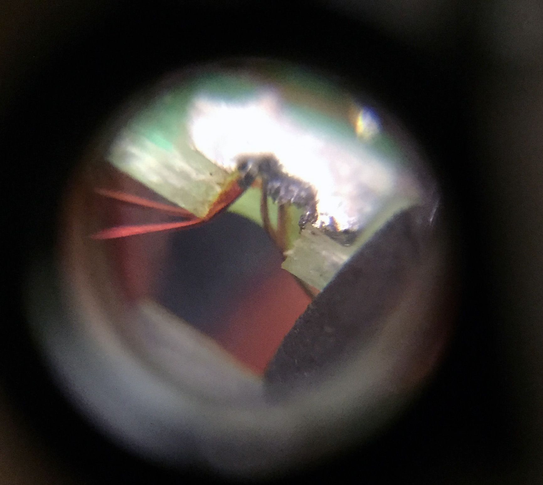 Convert a Unipolar Stepper Motor to Bipolar : 3 Steps (with Pictures ...