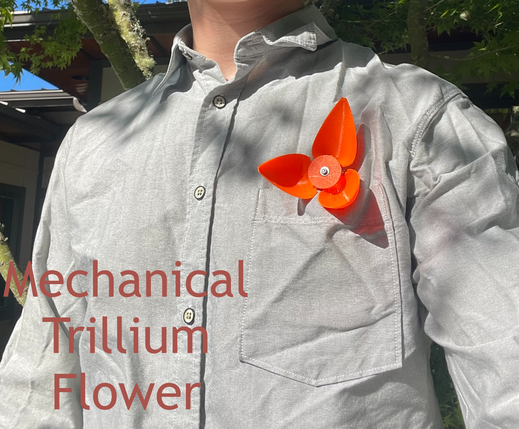 Mechanical Light Sensing Trillium Flower S.A.D to Glad : 8 Steps (with ...