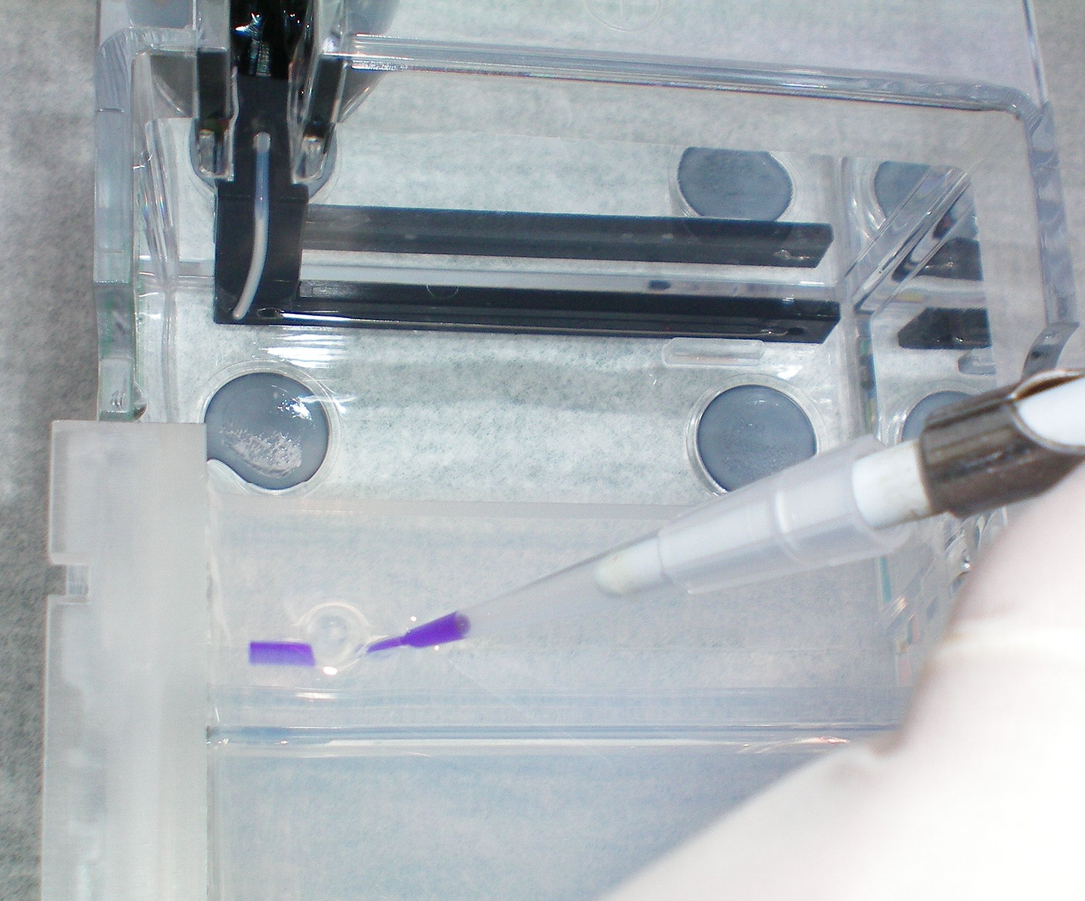 How to Prepare an Electrophoresis Argarose Gel : 6 Steps (with Pictures ...