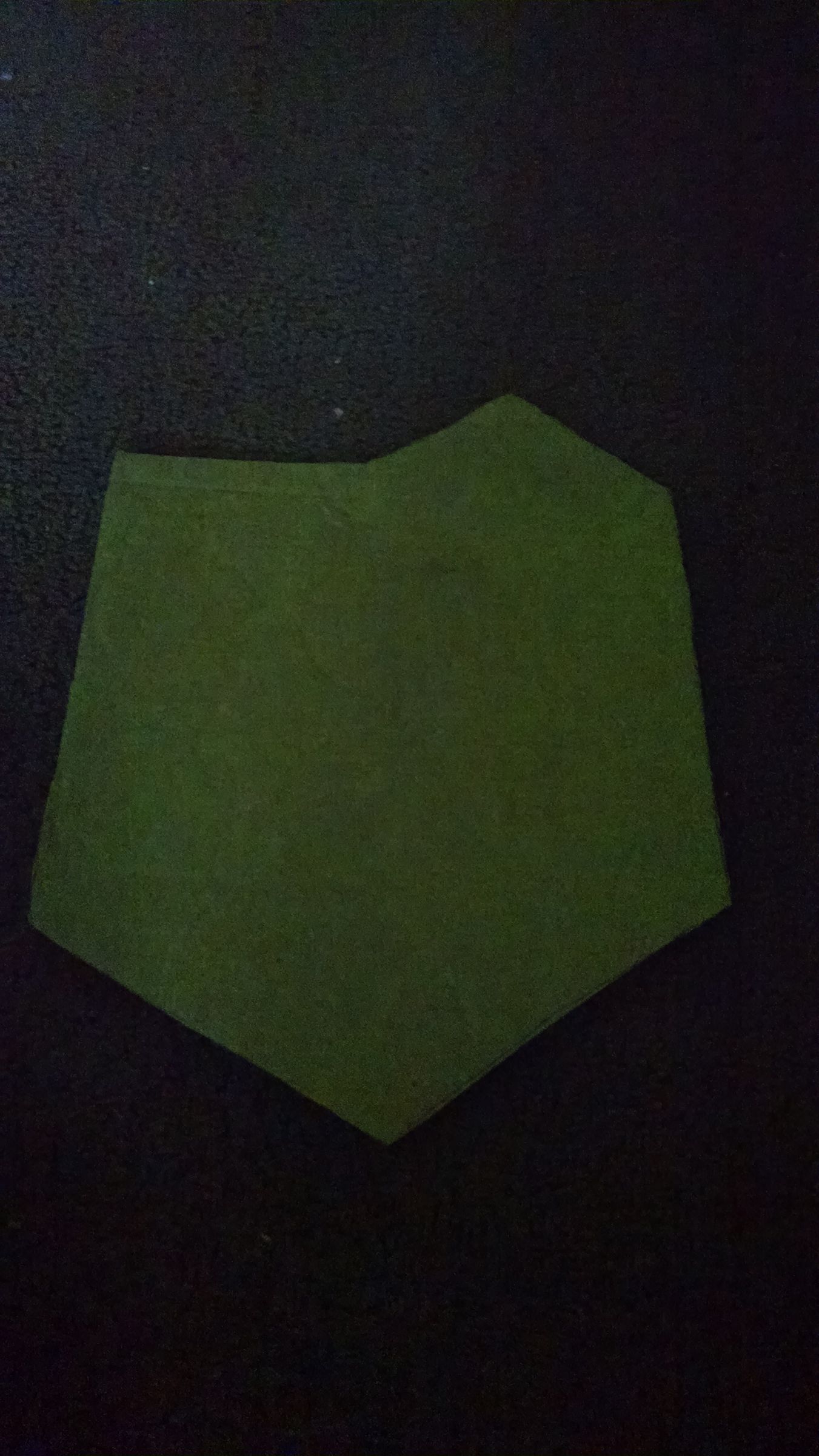 Young Link's Deku Kokiri Shield : 5 Steps - Instructables