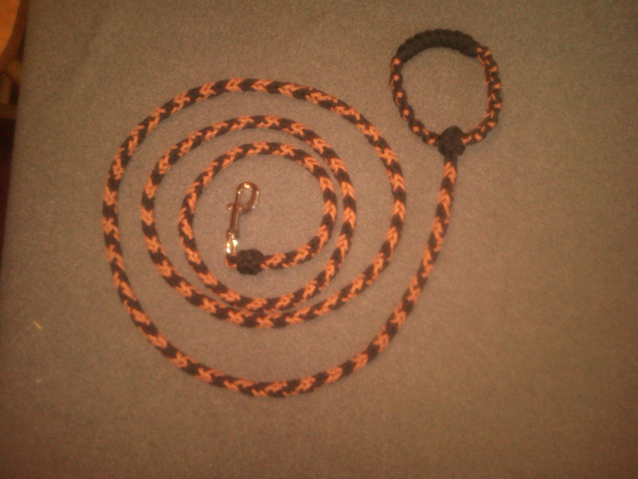 Pet Leash - Instructables