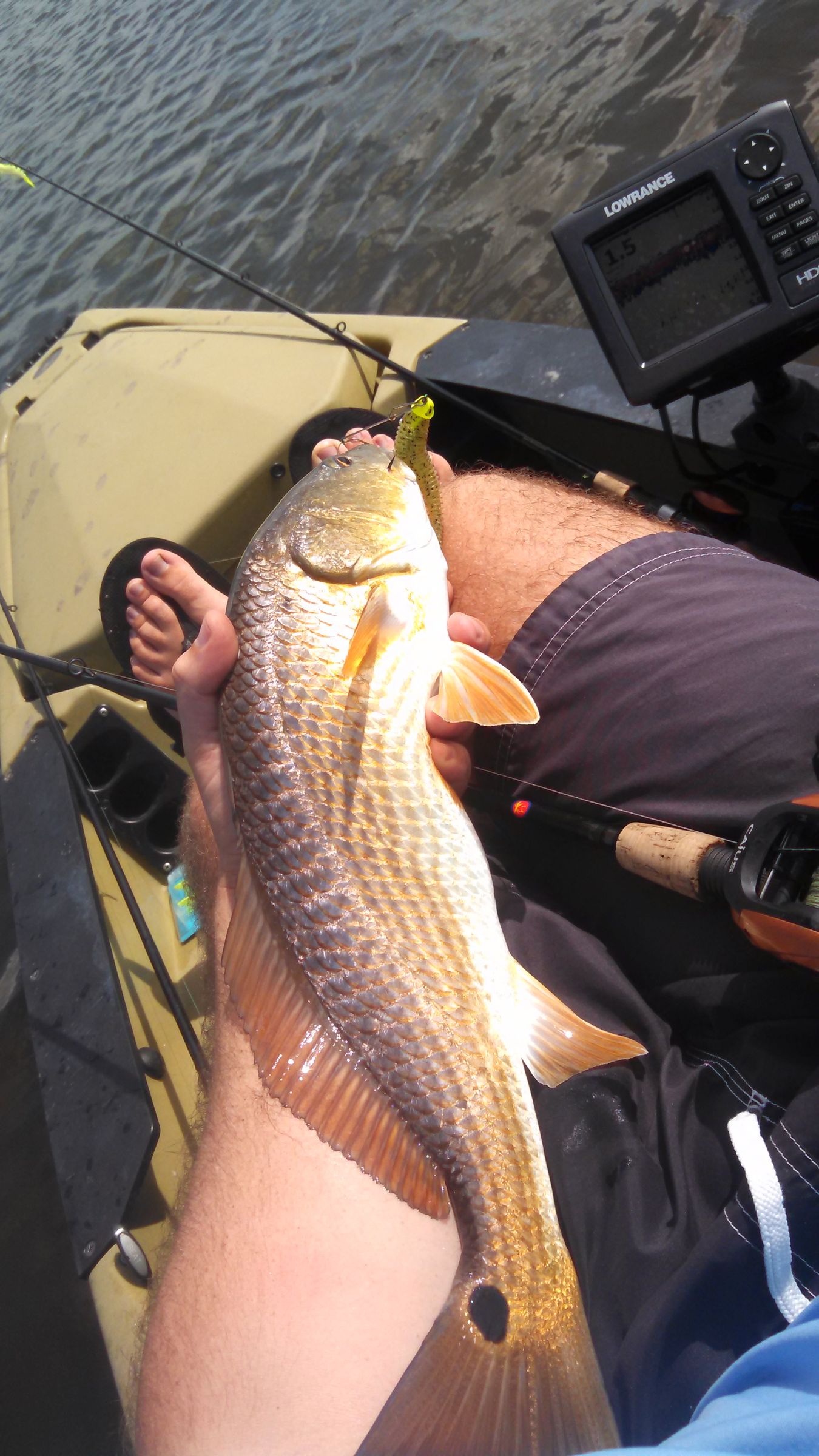 How to Catch, Clean and Cook Northern Florida Inshore Fish : 11 Steps ...