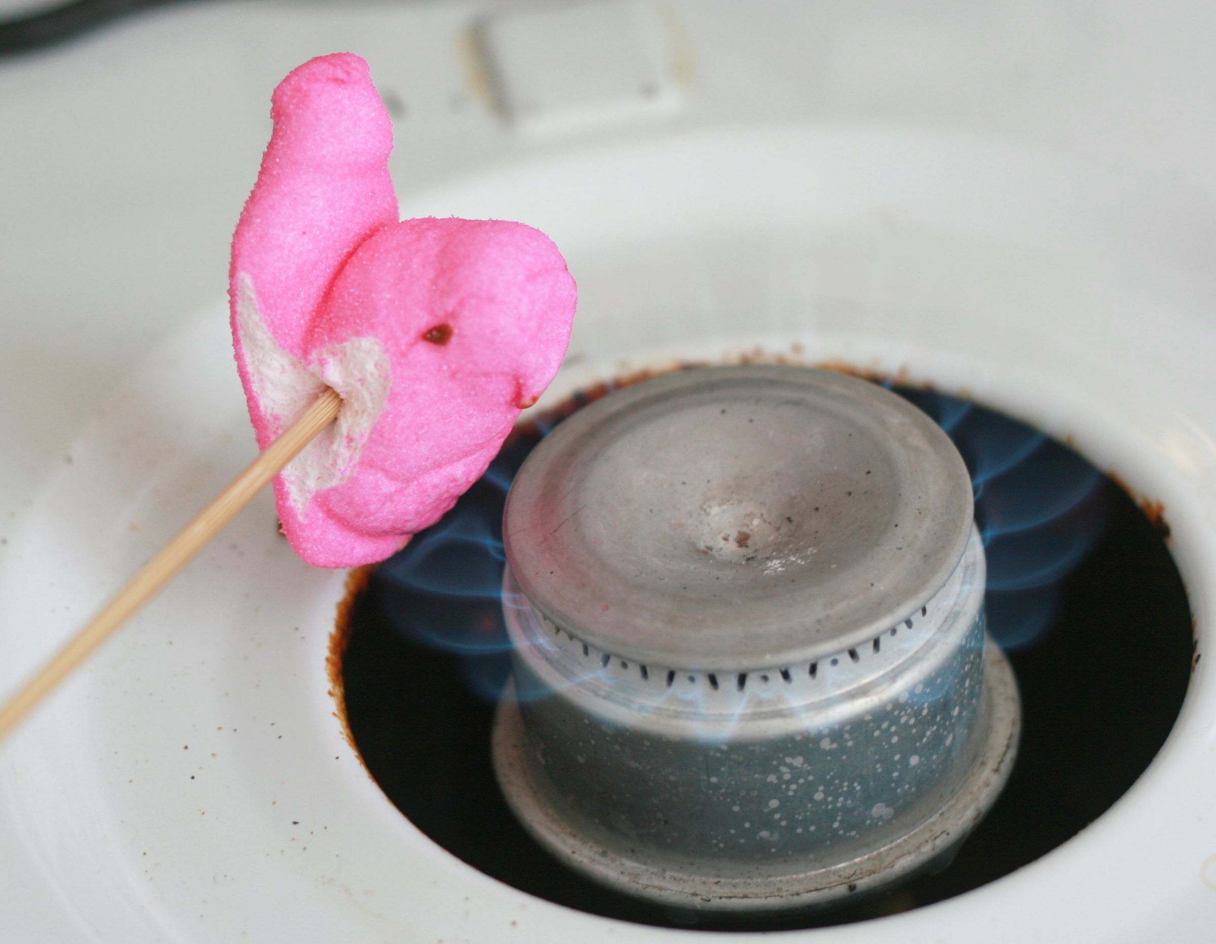 Peeps Smores : 4 Steps (with Pictures) - Instructables