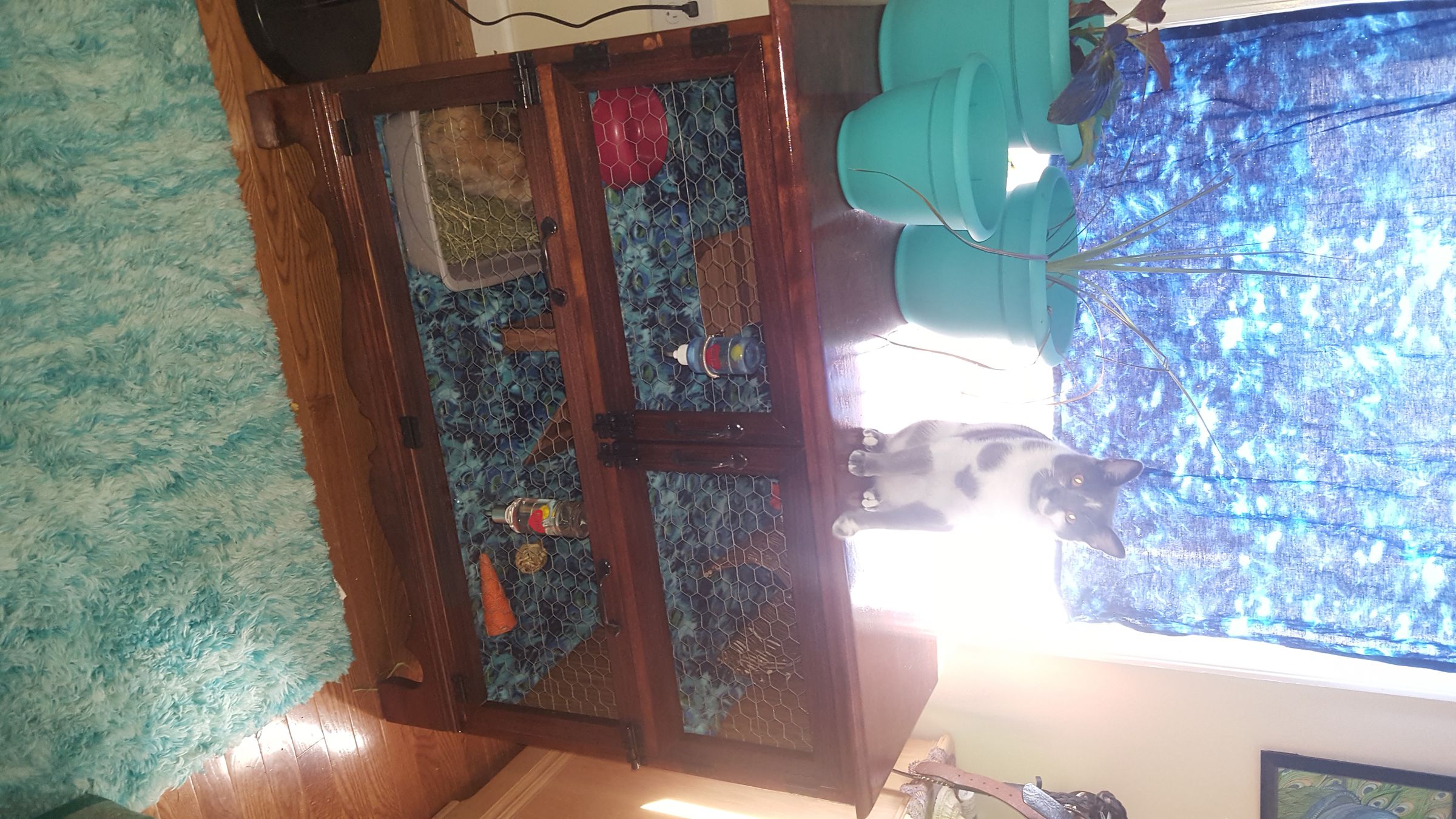 Upcycled Rabbit Hutch From Dresser : 8 Steps (with Pictures ...