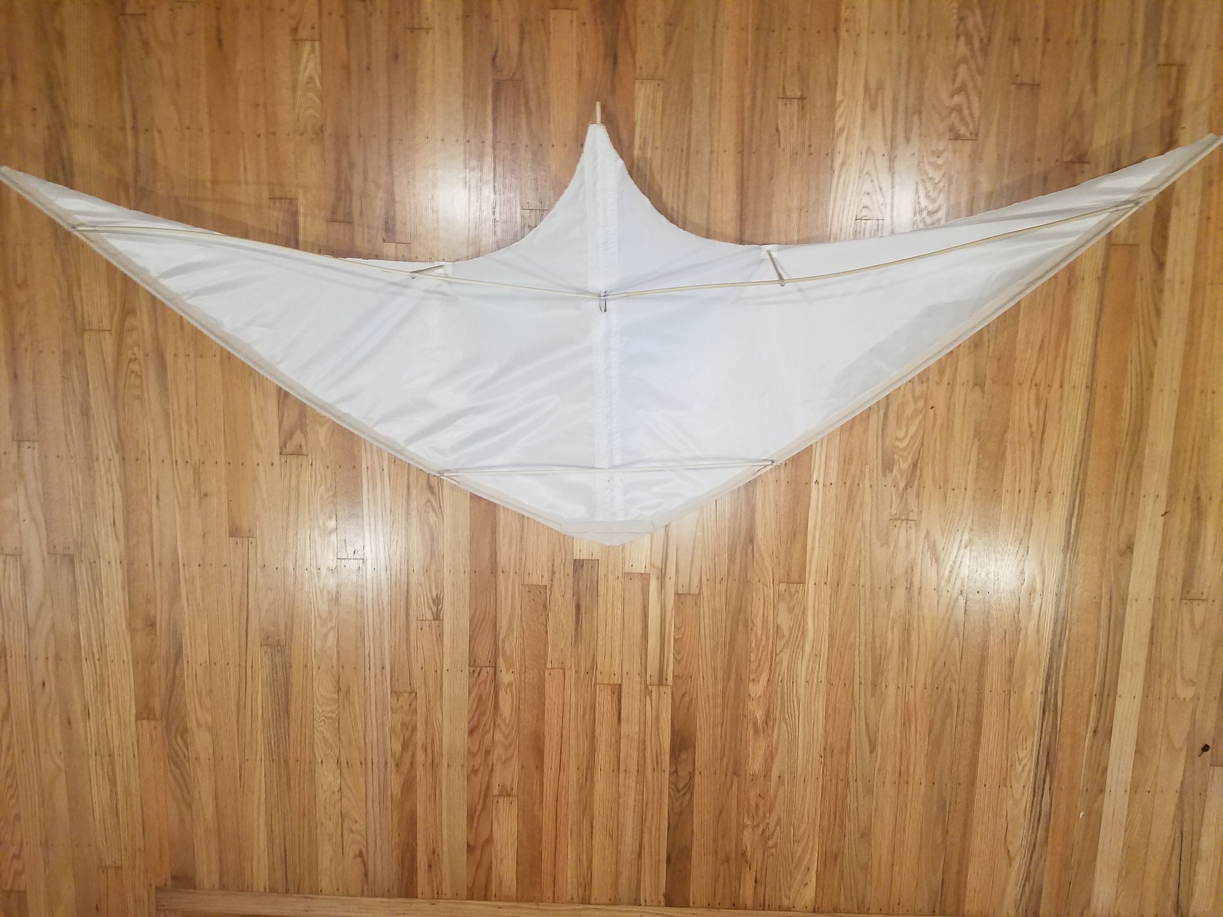 Freestyle Stunt Kite : 9 Steps (with Pictures) - Instructables