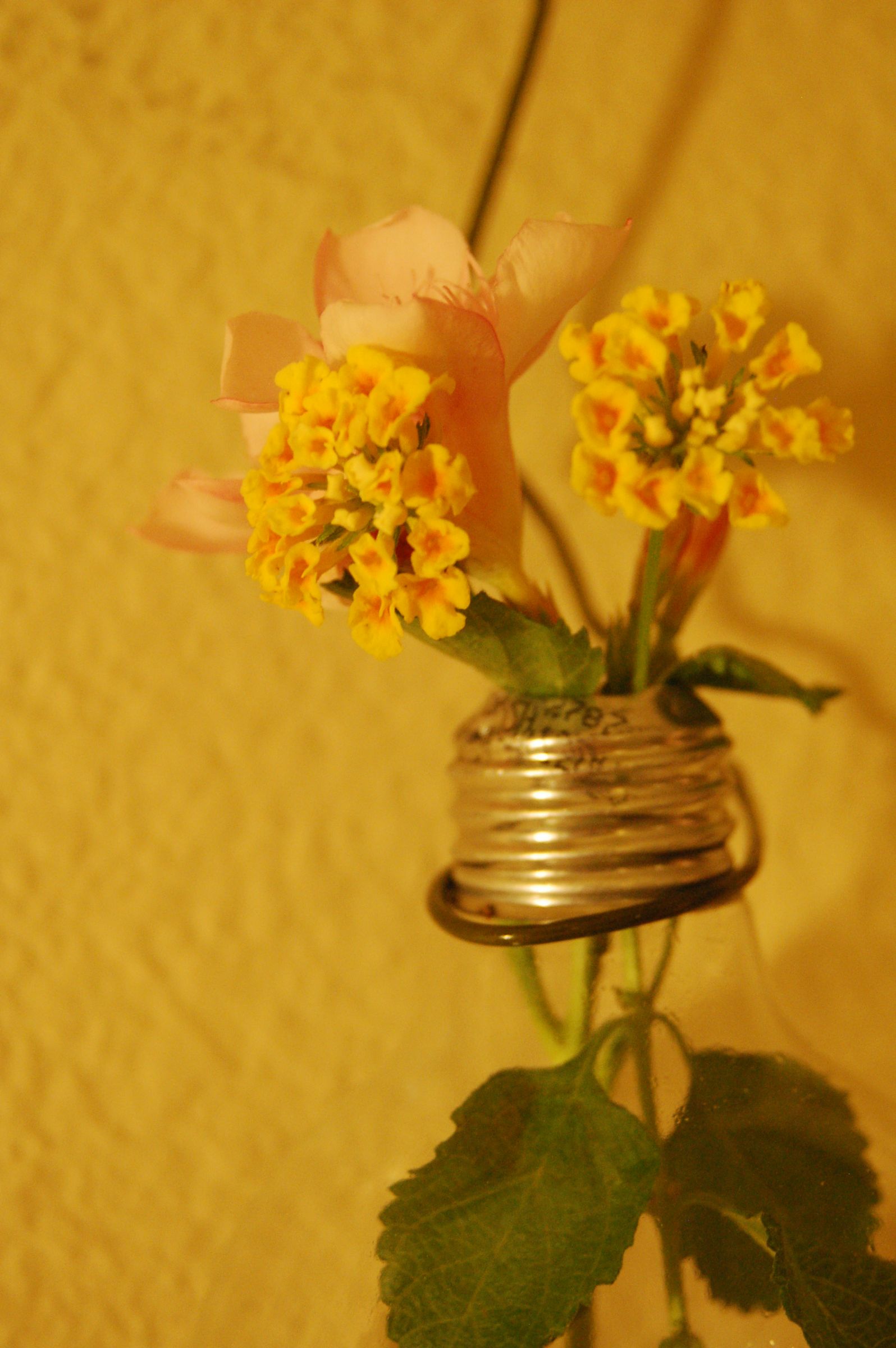 A Naked Bulb Is a Boring Bulb. - Instructables