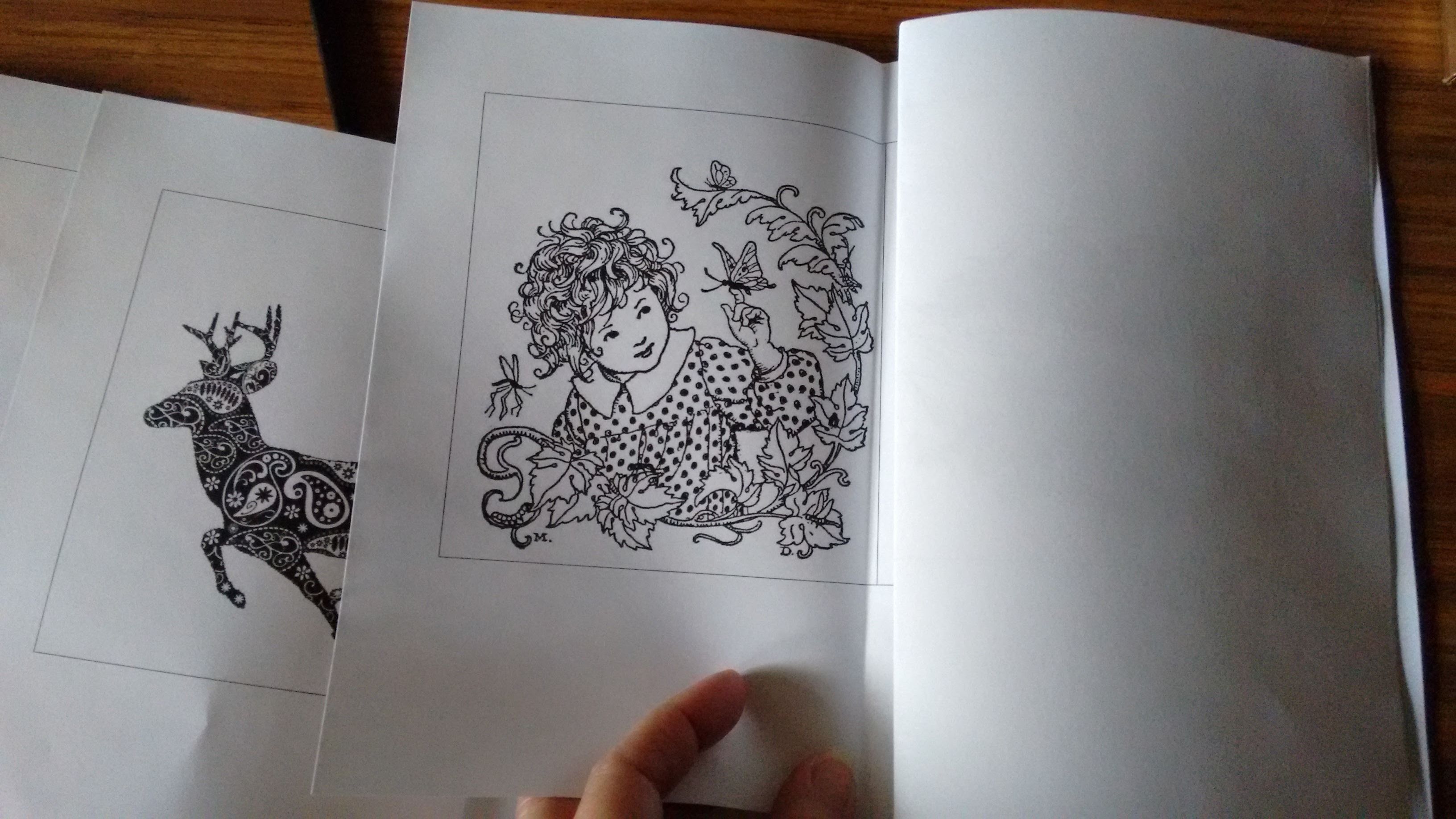 DIY Adult Coloring Book: How to Source & Create a Custom Coloring Book ...