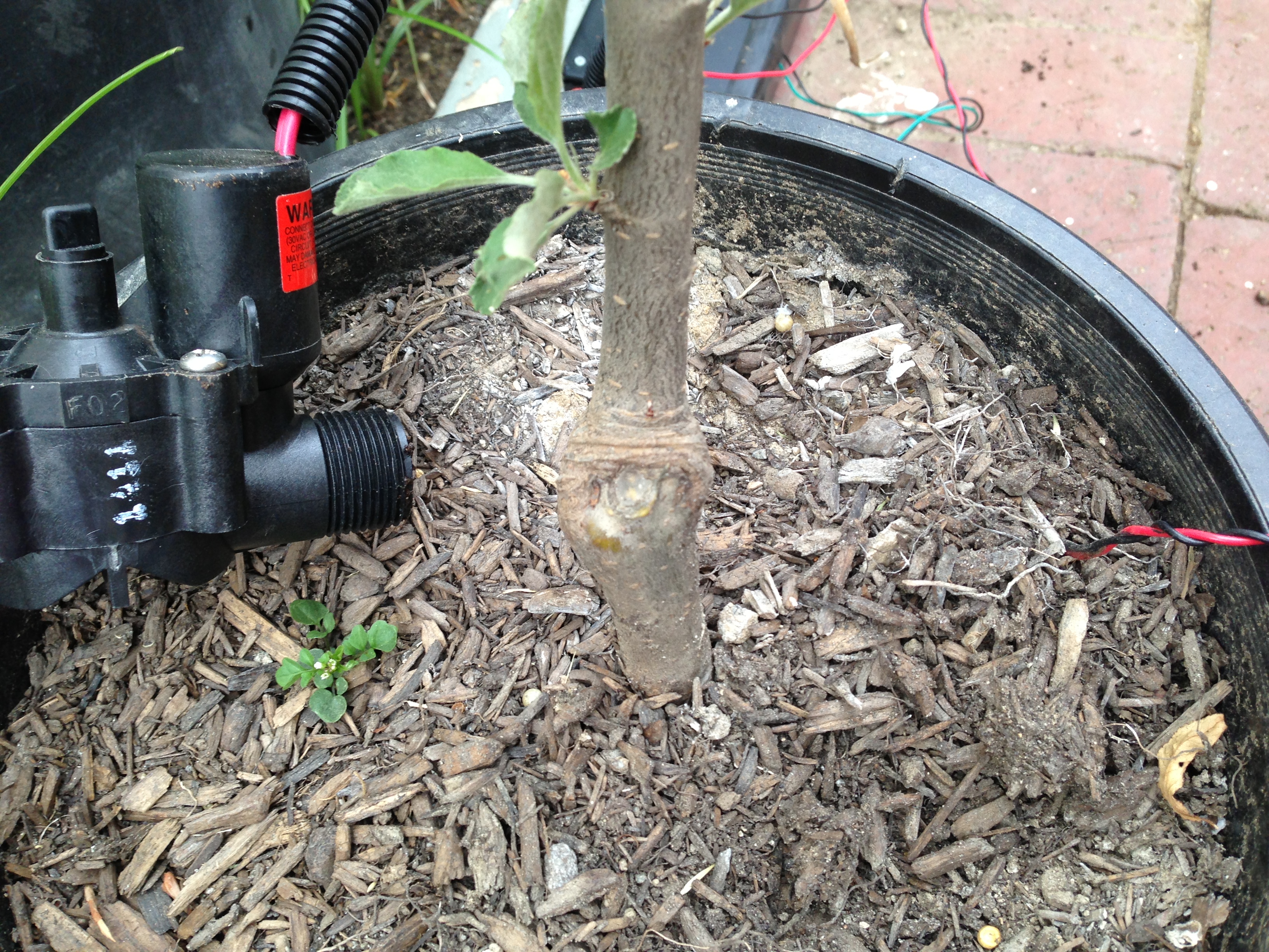 Raspberry Pi Irrigation Controller : 9 Steps (with Pictures ...