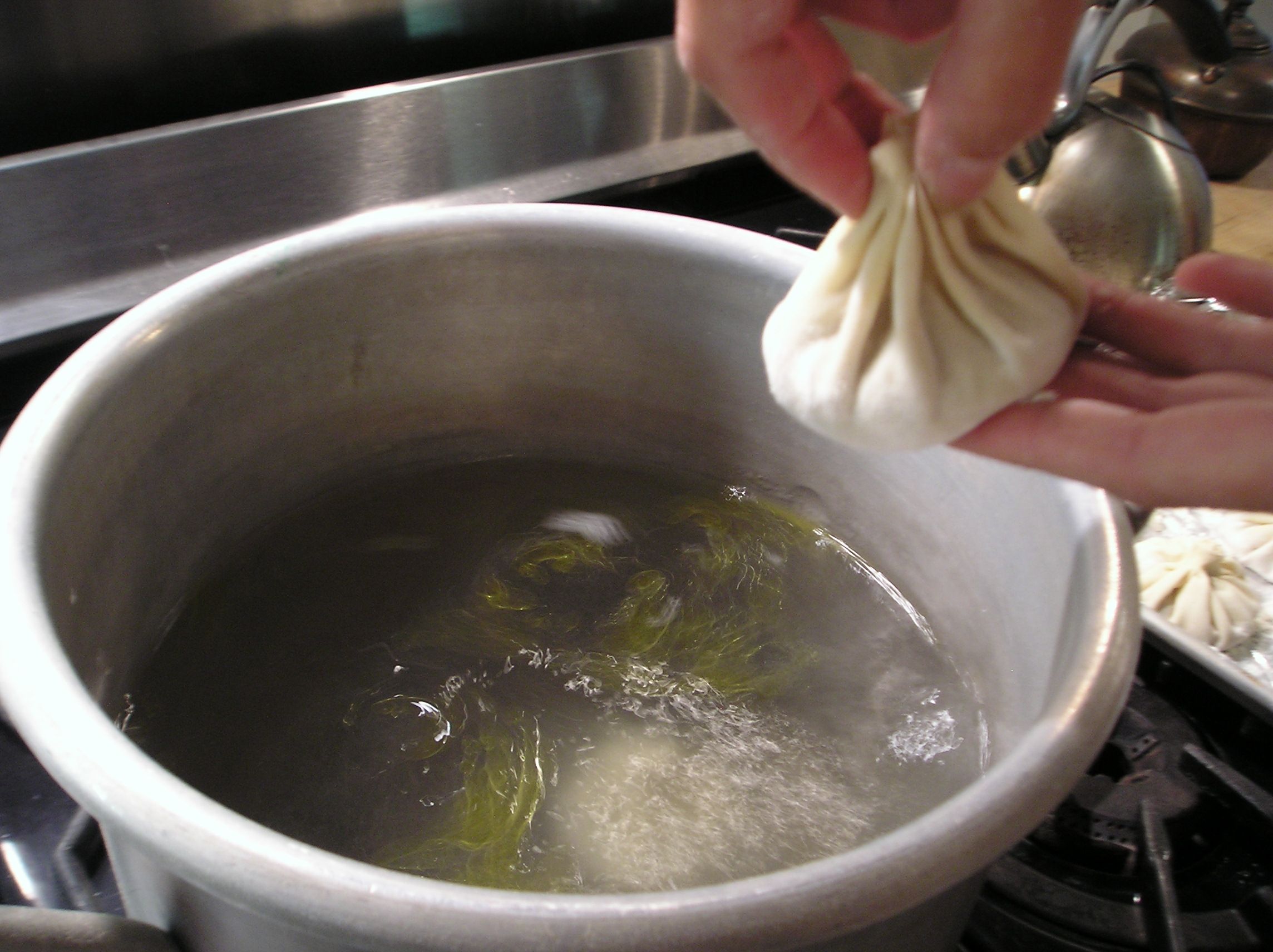 Dumplings From the Mountains of Georgia : 13 Steps (with Pictures ...