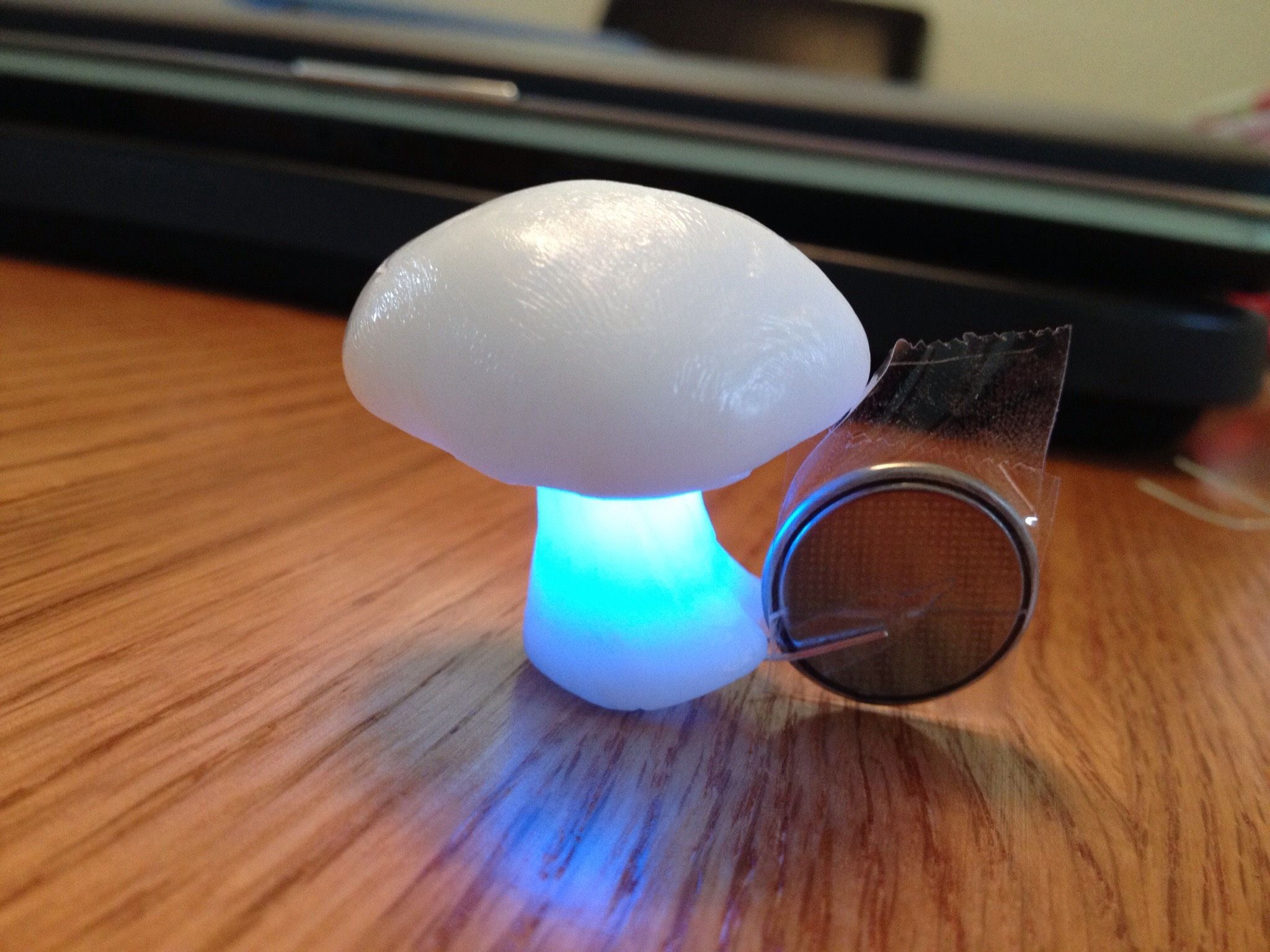 Magic Instamorph Mushrooms : 5 Steps (with Pictures) - Instructables