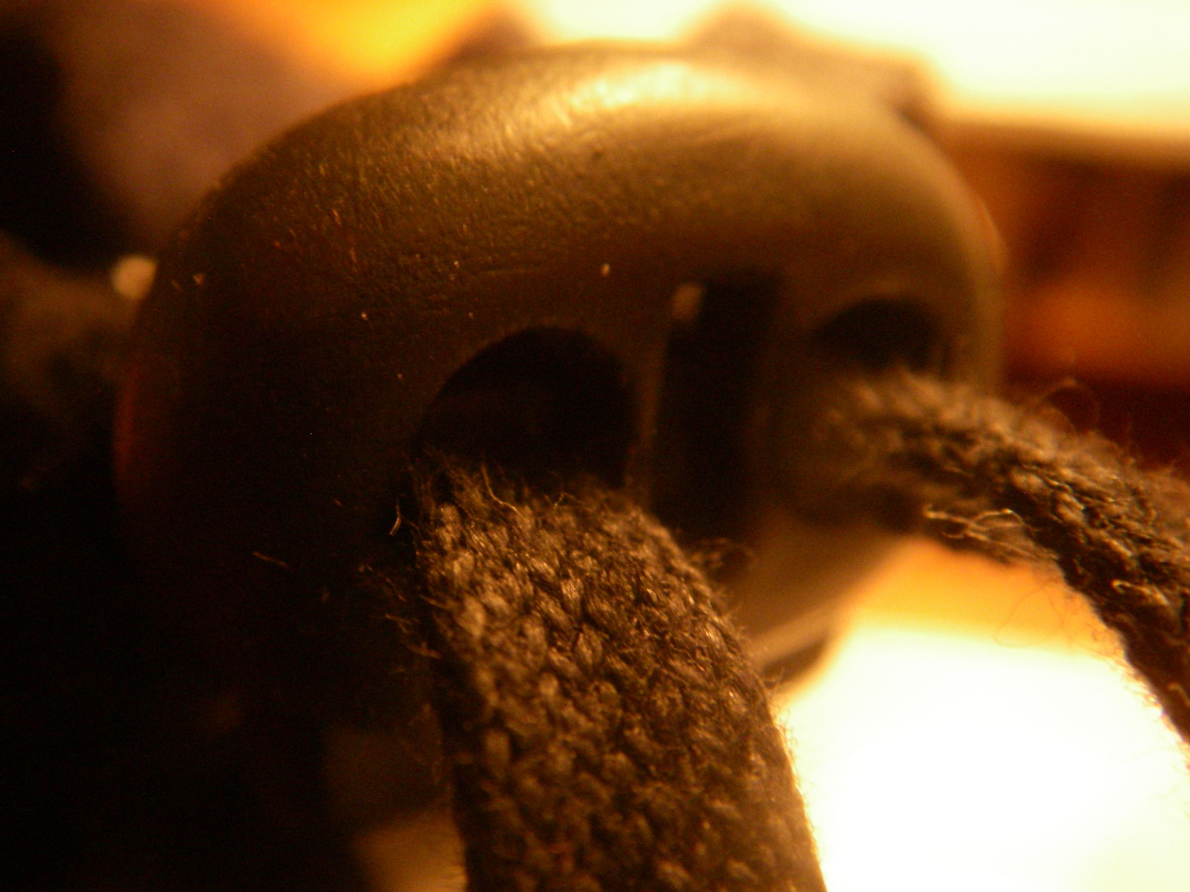 A Lovely Warm Skull Face Snood. : 5 Steps (with Pictures) - Instructables