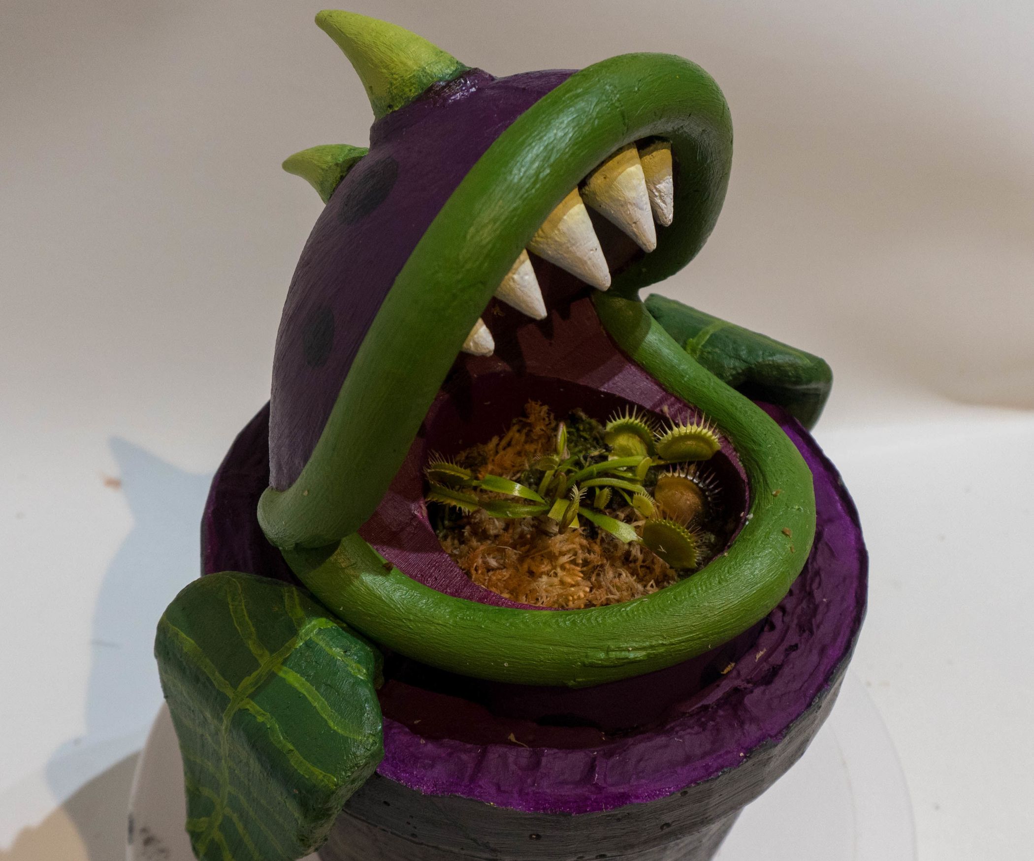 Cemented Carnivorous Cannibalistic Planter : 13 Steps (with Pictures ...