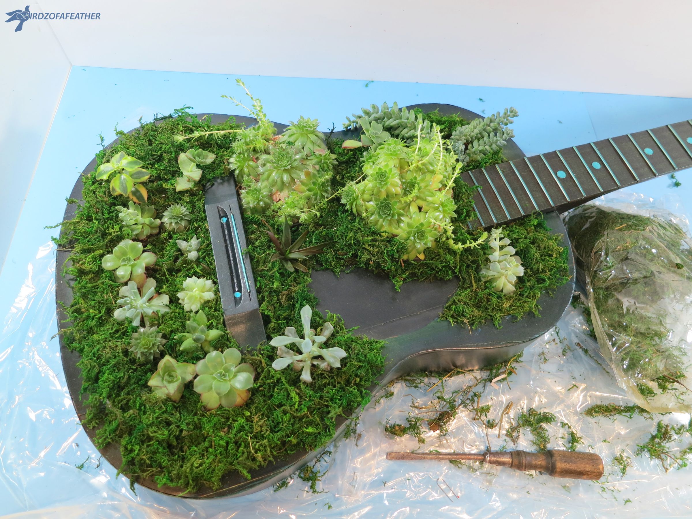 Guitar Planter : 20 Steps (with Pictures) - Instructables