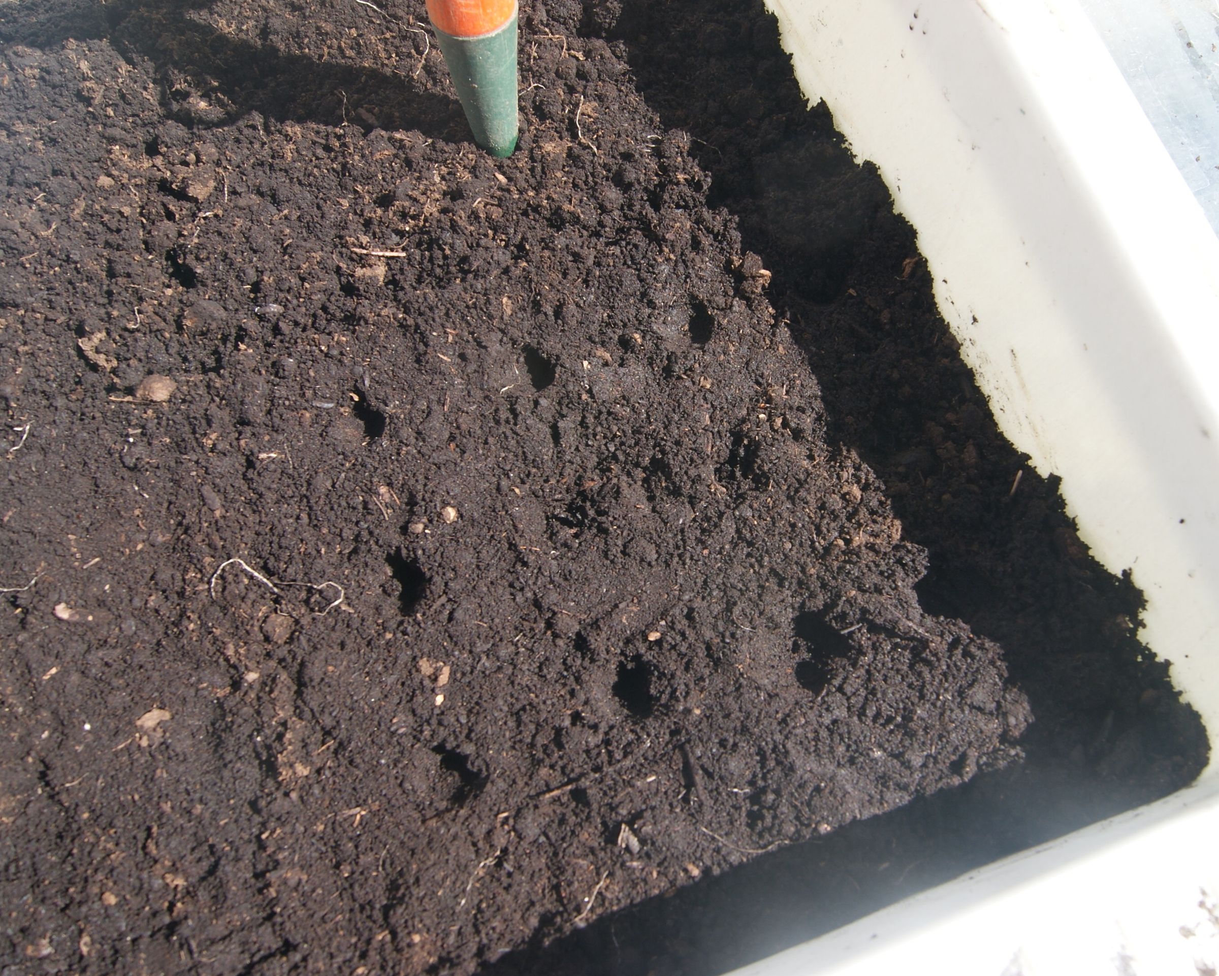 How to Plant Really Small Seeds : 3 Steps (with Pictures) - Instructables