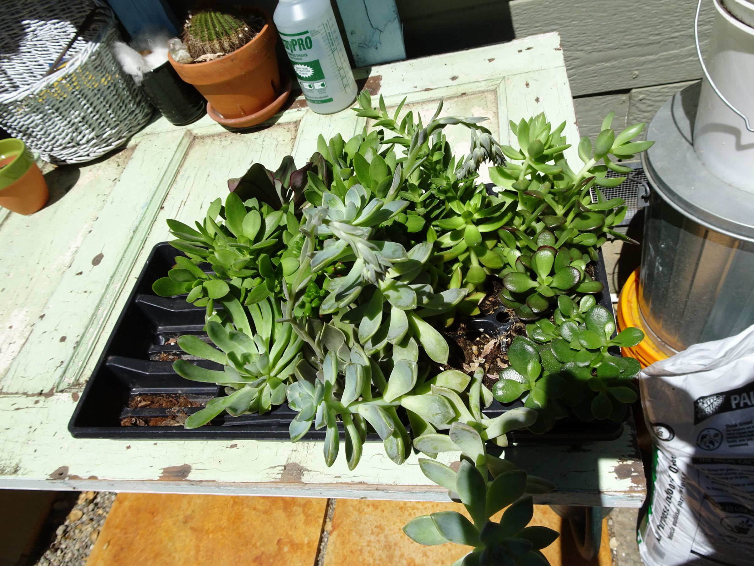 Upcycled Tank Planter : 9 Steps (with Pictures) - Instructables