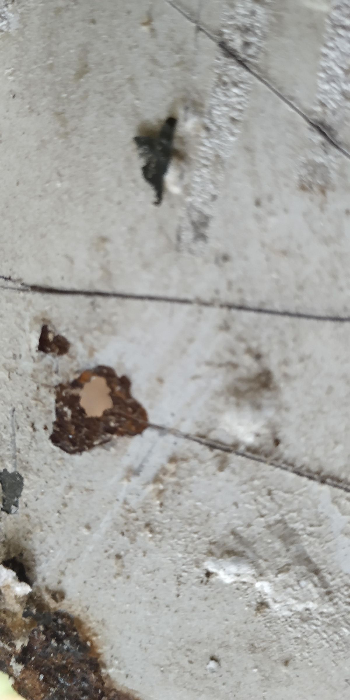 How to Repair Rusty Holes : 5 Steps - Instructables