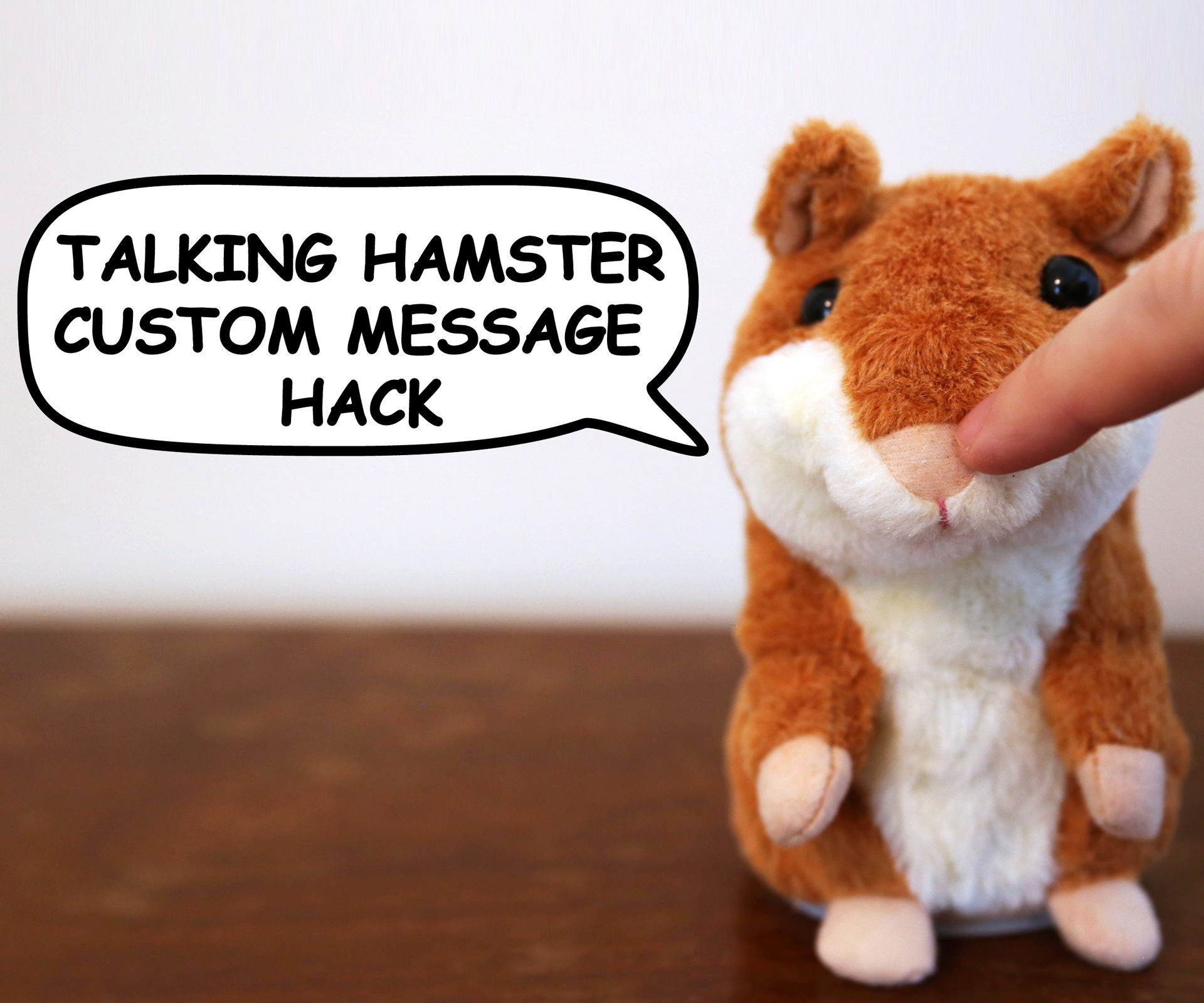 Talking Hamster Hack : 19 Steps (with Pictures) - Instructables