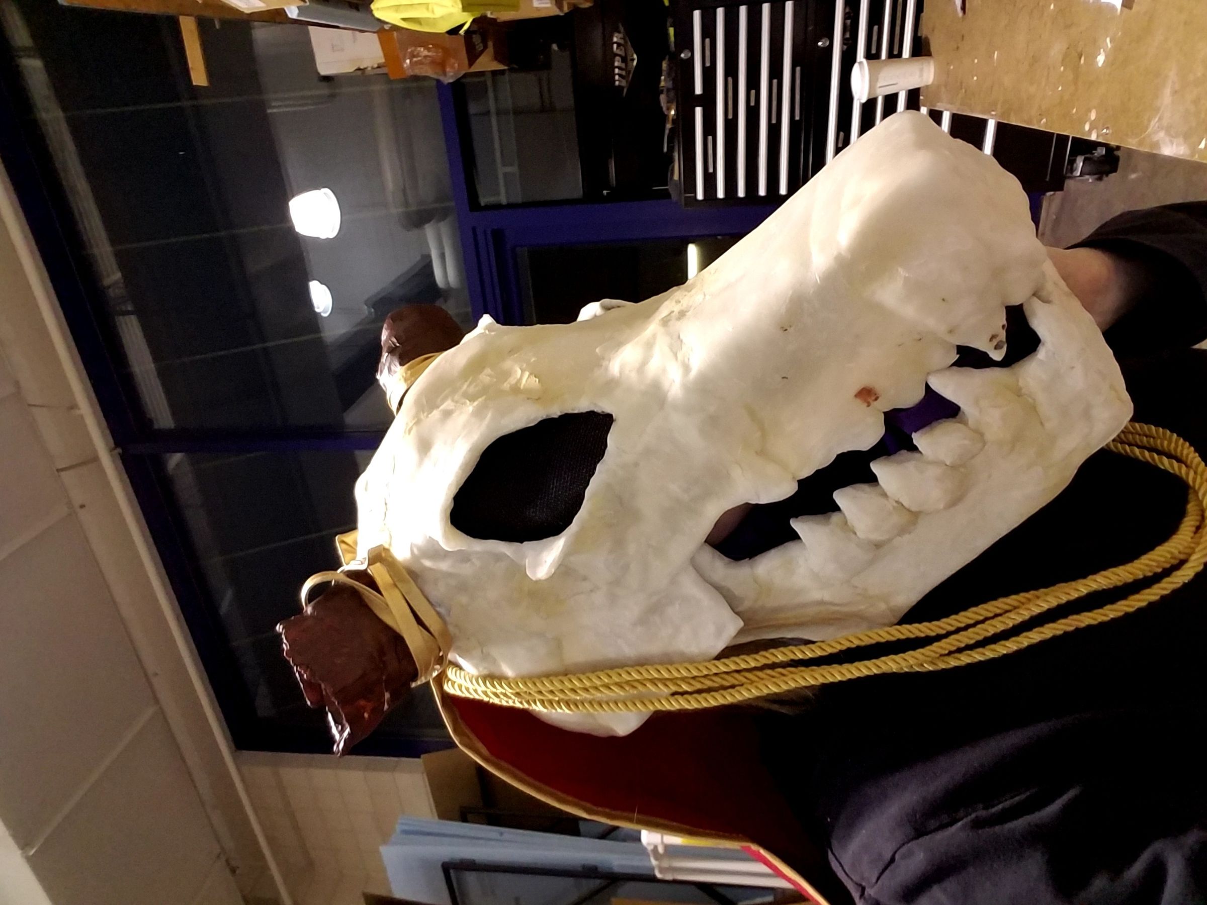 Skull Mask : 9 Steps (with Pictures) - Instructables