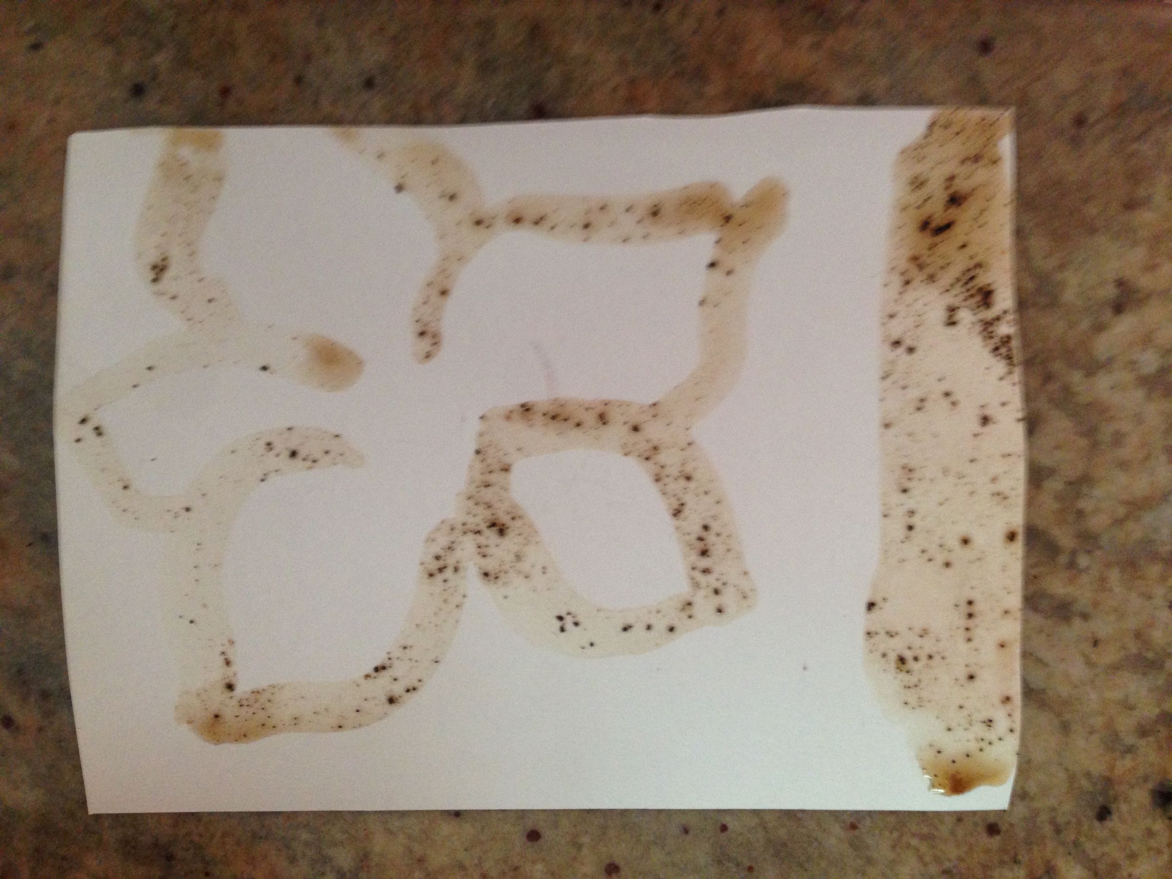 Painting With Coffee : 3 Steps (with Pictures) - Instructables