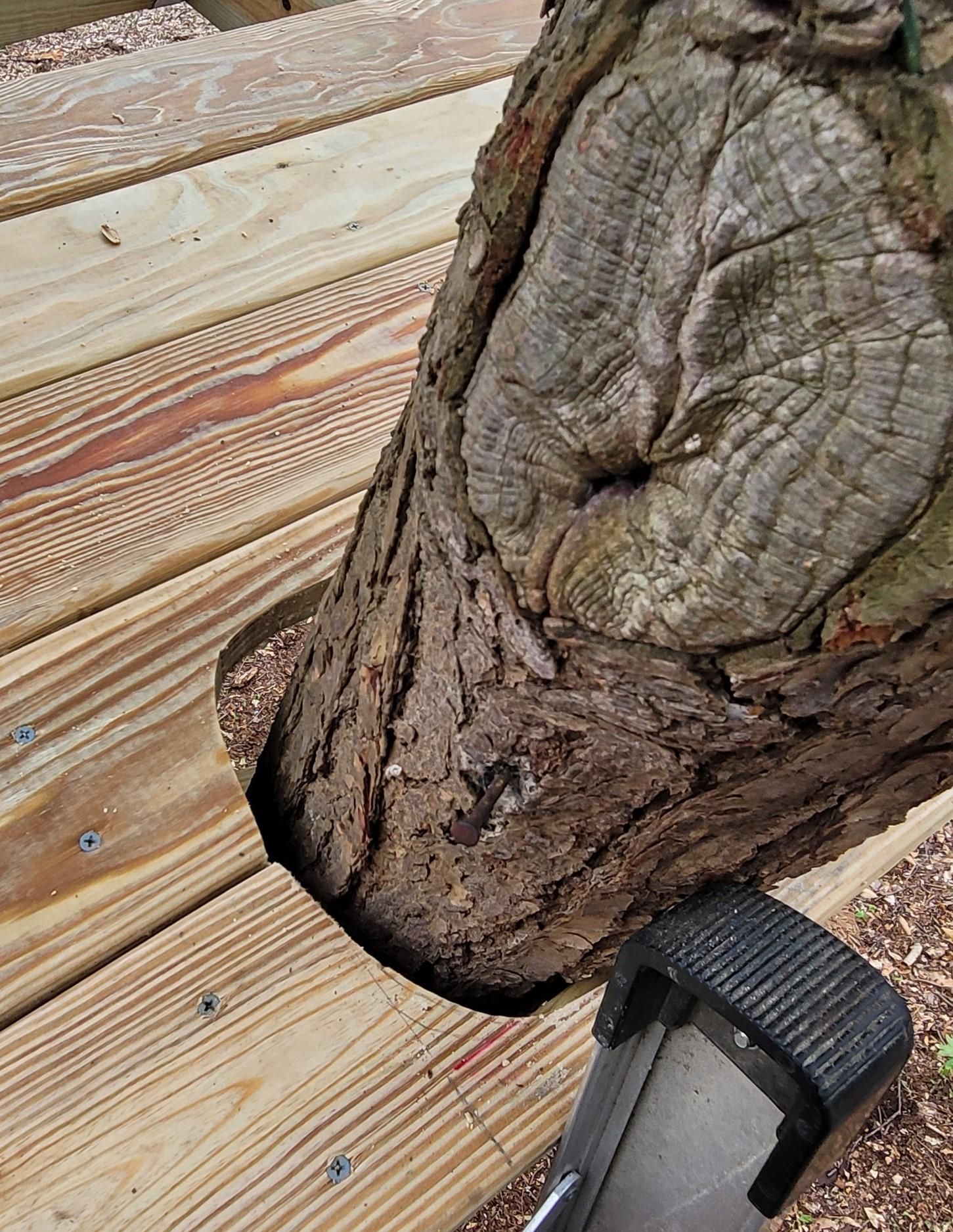 Tree Stand Blind : 12 Steps (with Pictures) - Instructables