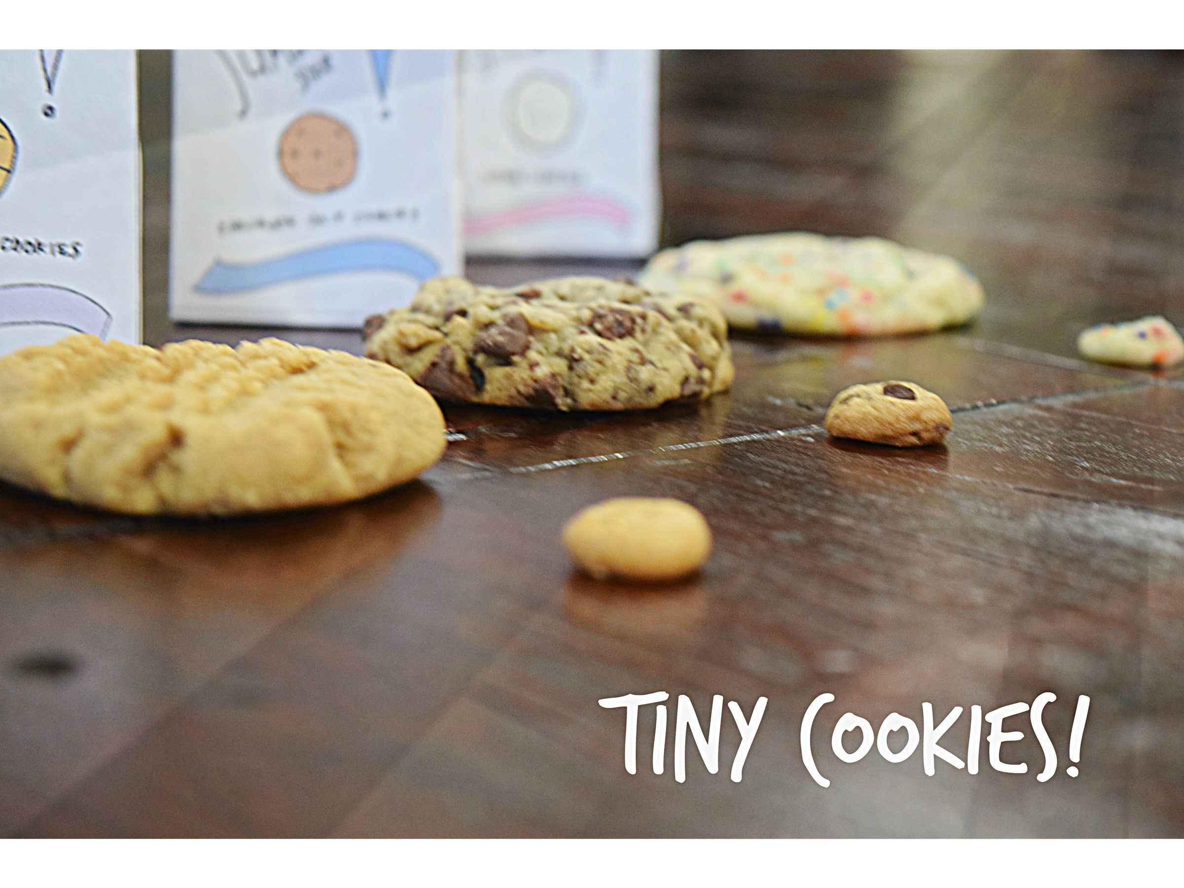 The Sweetest (and Cutest) Gift to Give: Tiny Cookies : 6 Steps (with ...