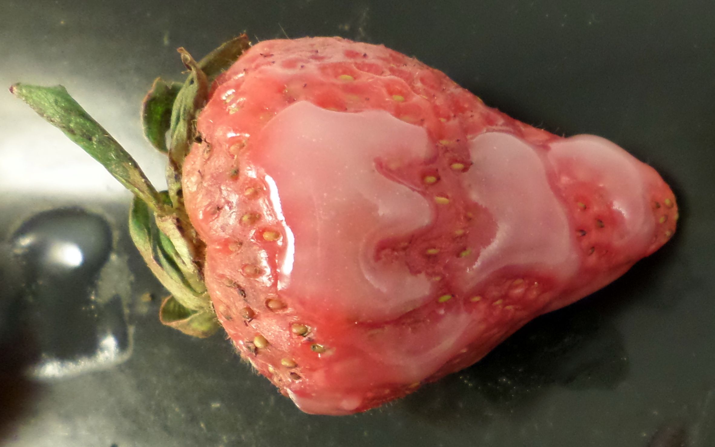 Glowing Edible Paint : 7 Steps (with Pictures) - Instructables