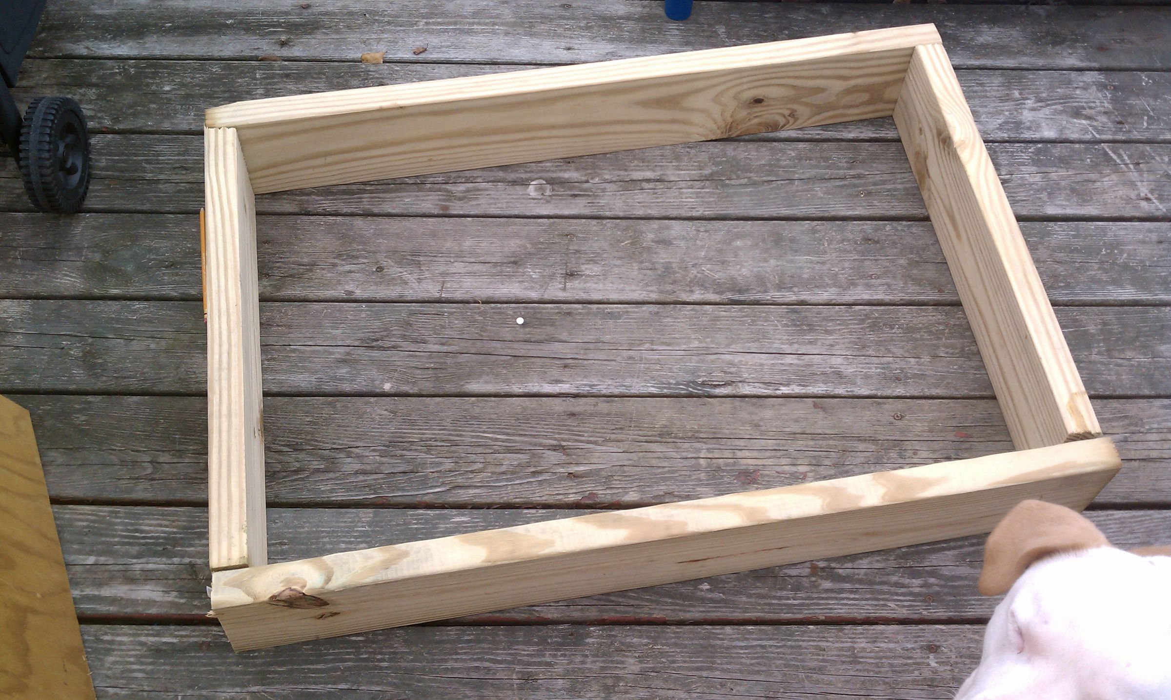 Dog Porch Potty : 3 Steps - Instructables