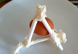 Egg Drop : 7 Steps (with Pictures) - Instructables
