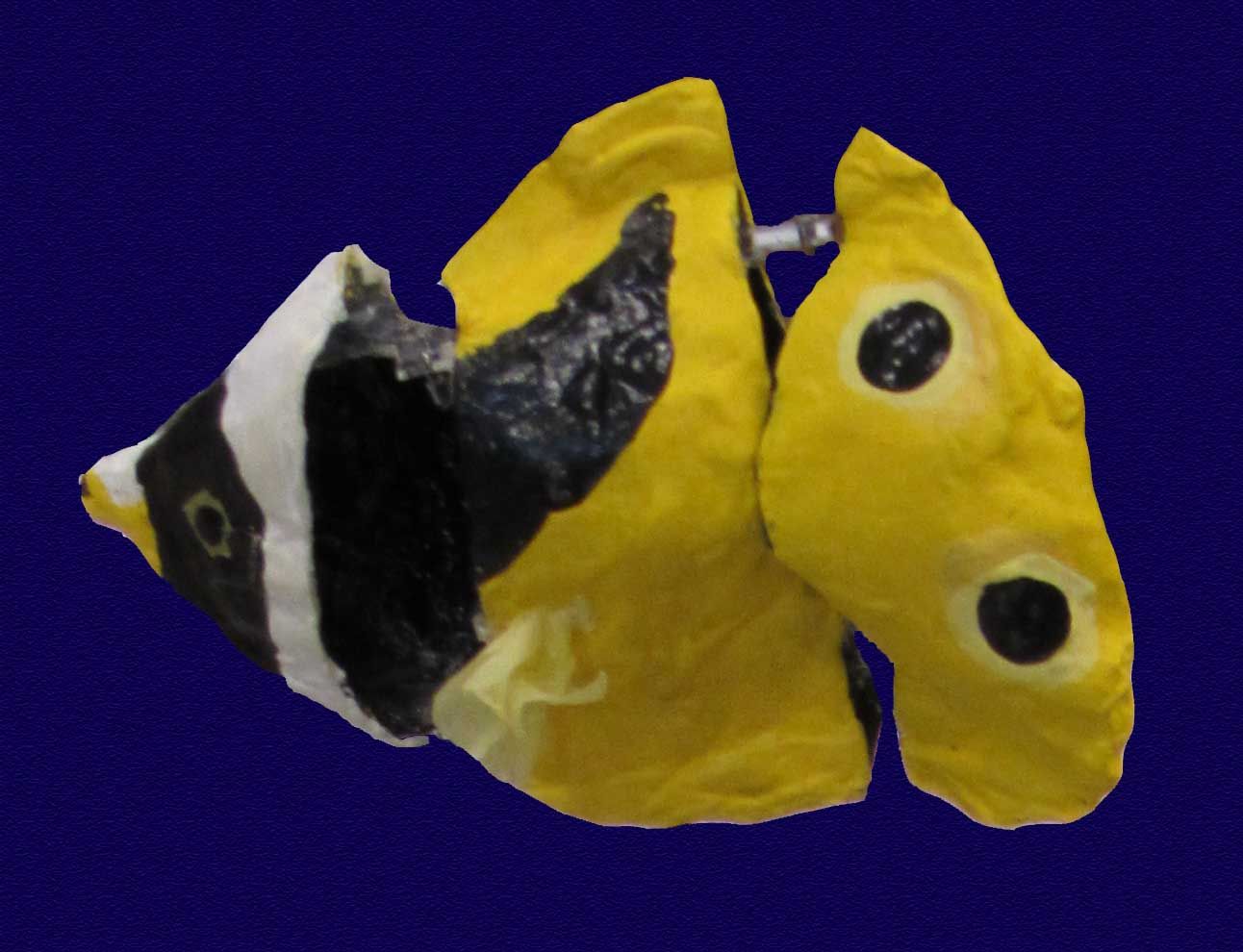 Model Fish : 12 Steps - Instructables