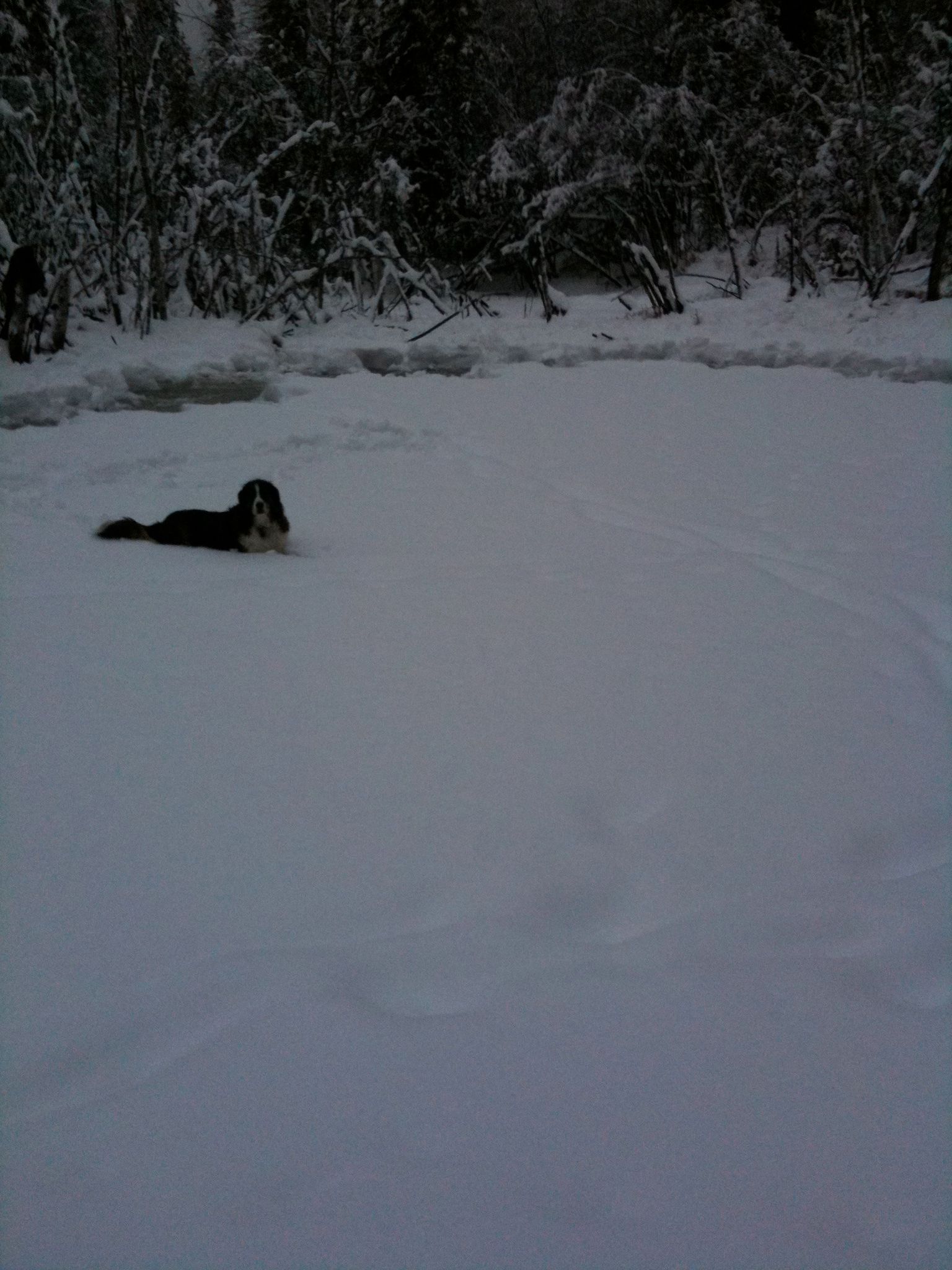 Ice Skating on a Pond : 3 Steps - Instructables