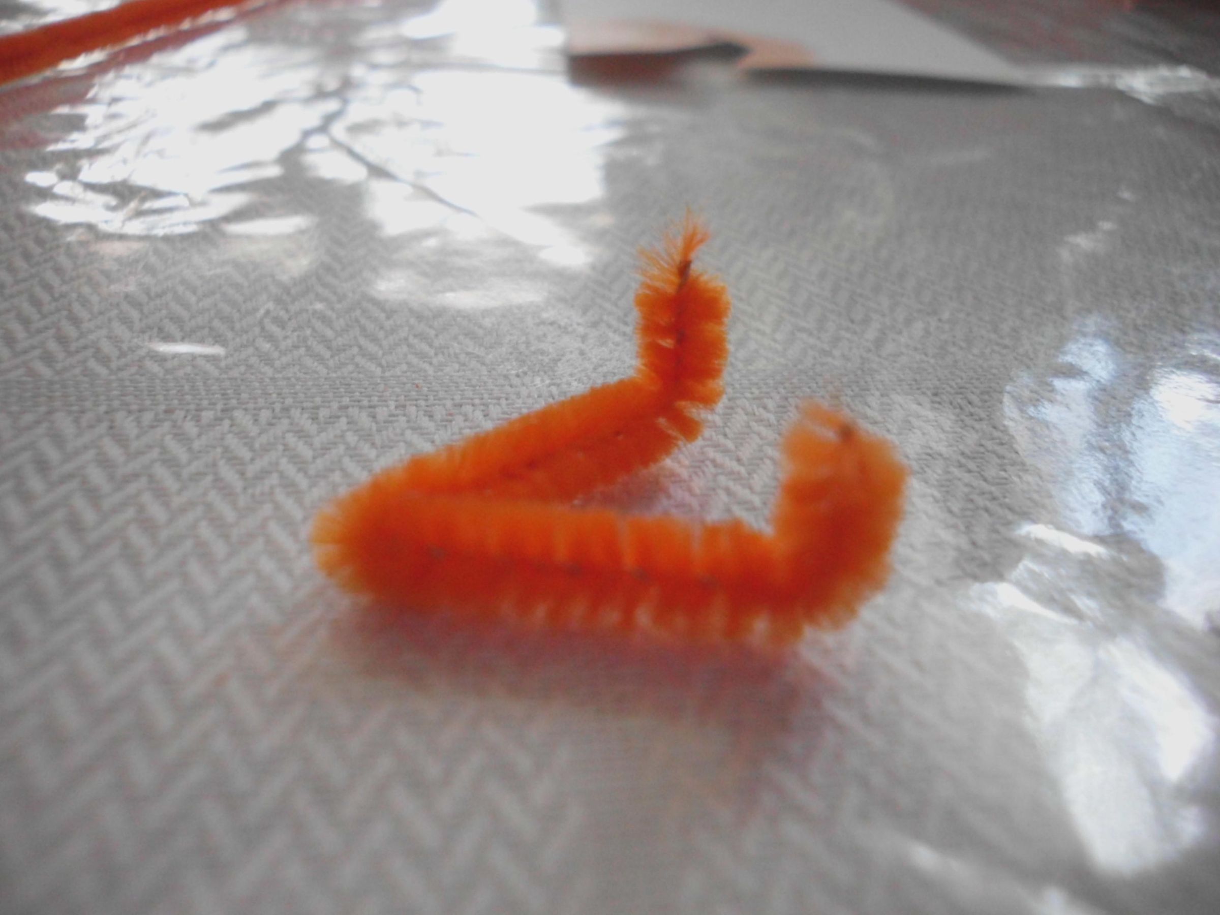 Hide and Go Peep : 4 Steps - Instructables