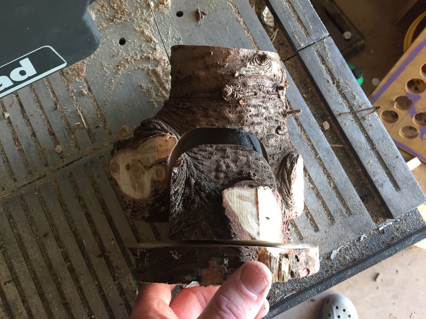 Bandsaw Box From Christmas Tree : 7 Steps - Instructables