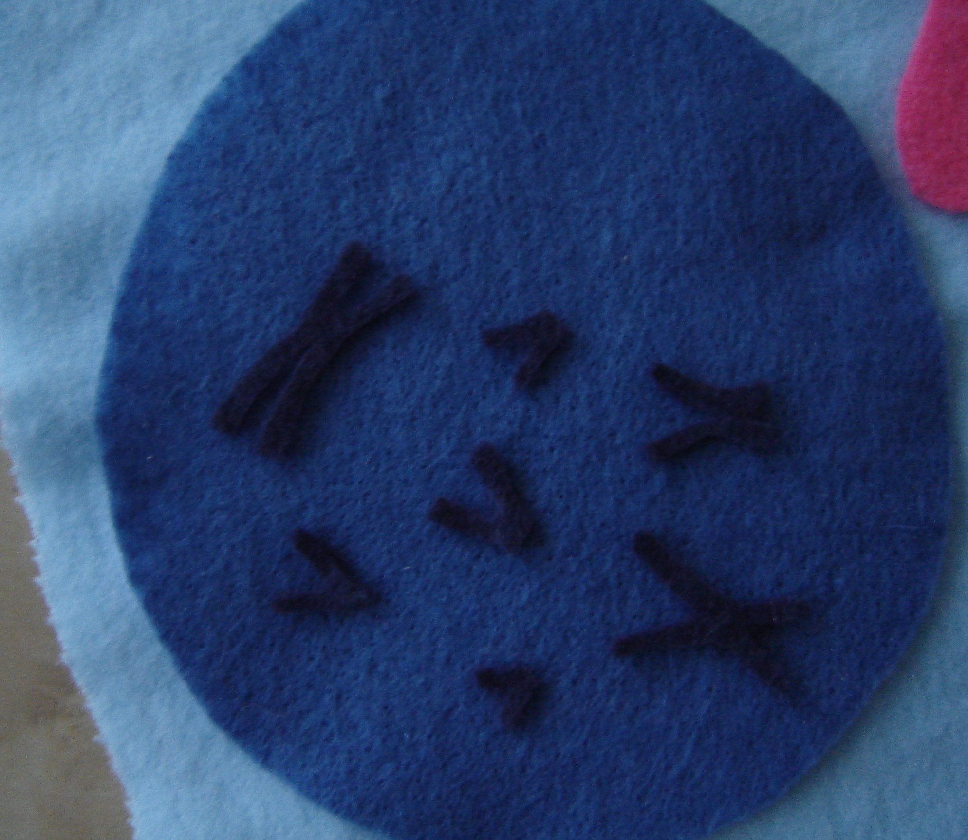 Plush Cell Model : 13 Steps (with Pictures) - Instructables