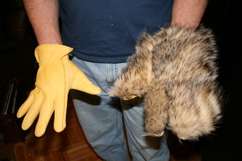 Badger Fur Gloves : 4 Steps - Instructables