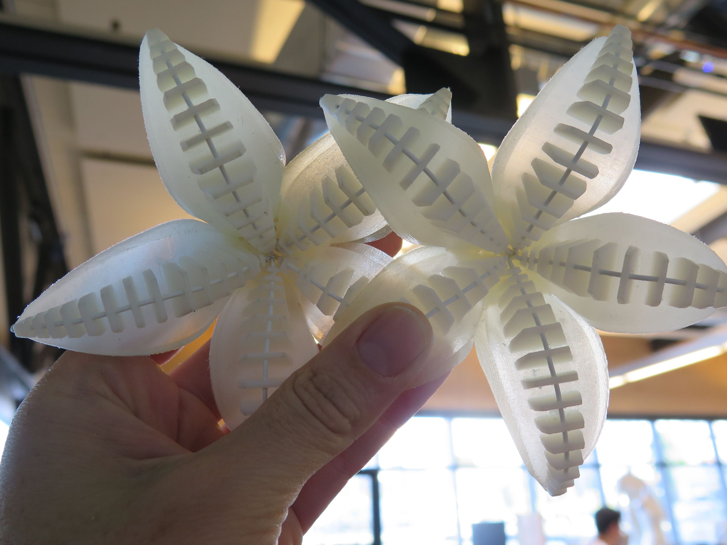 3D Printed Blooming Flowers : 11 Steps (with Pictures) - Instructables