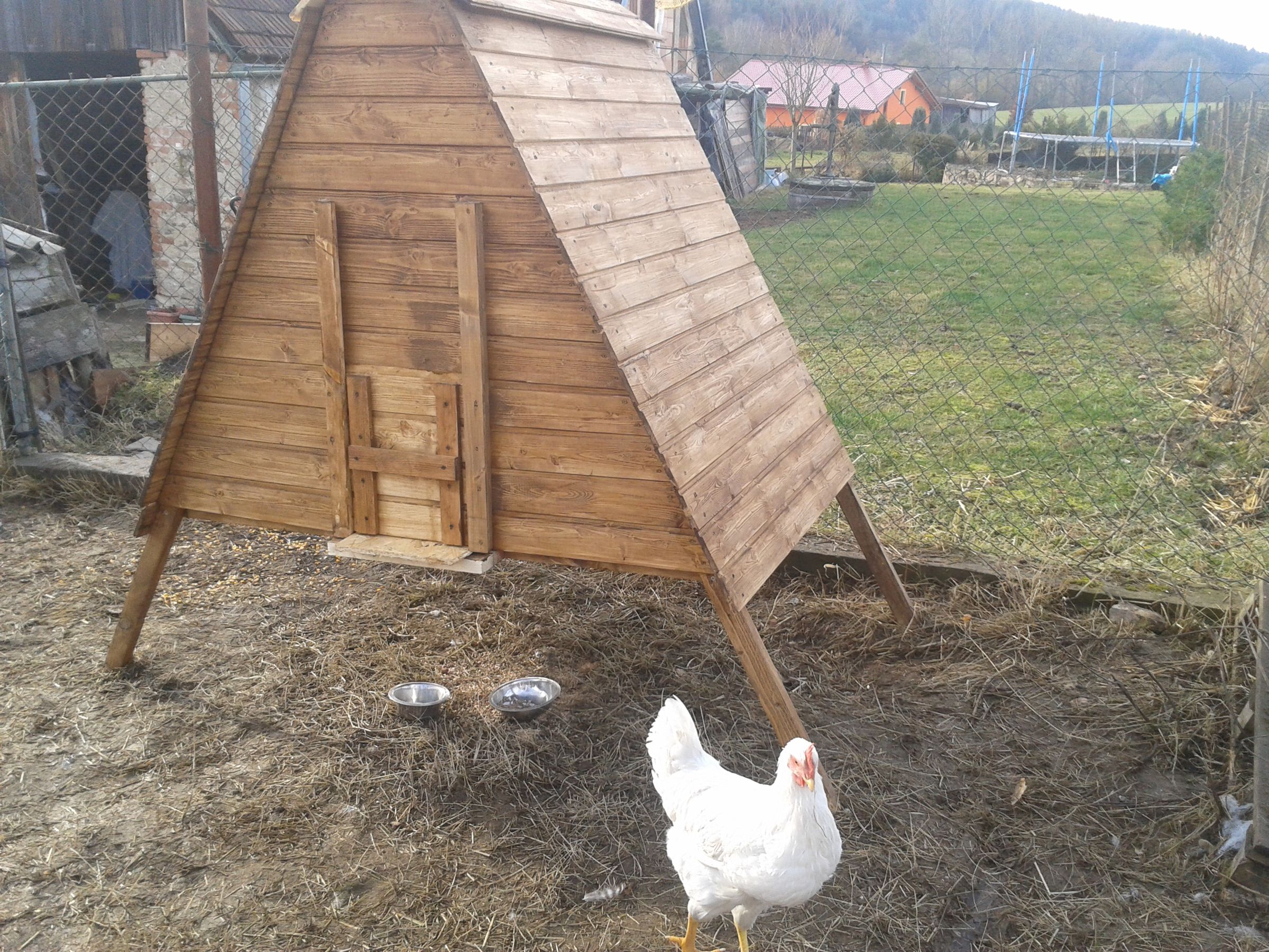 Ark Shaped Chicken Coop : 10 Steps (with Pictures) - Instructables