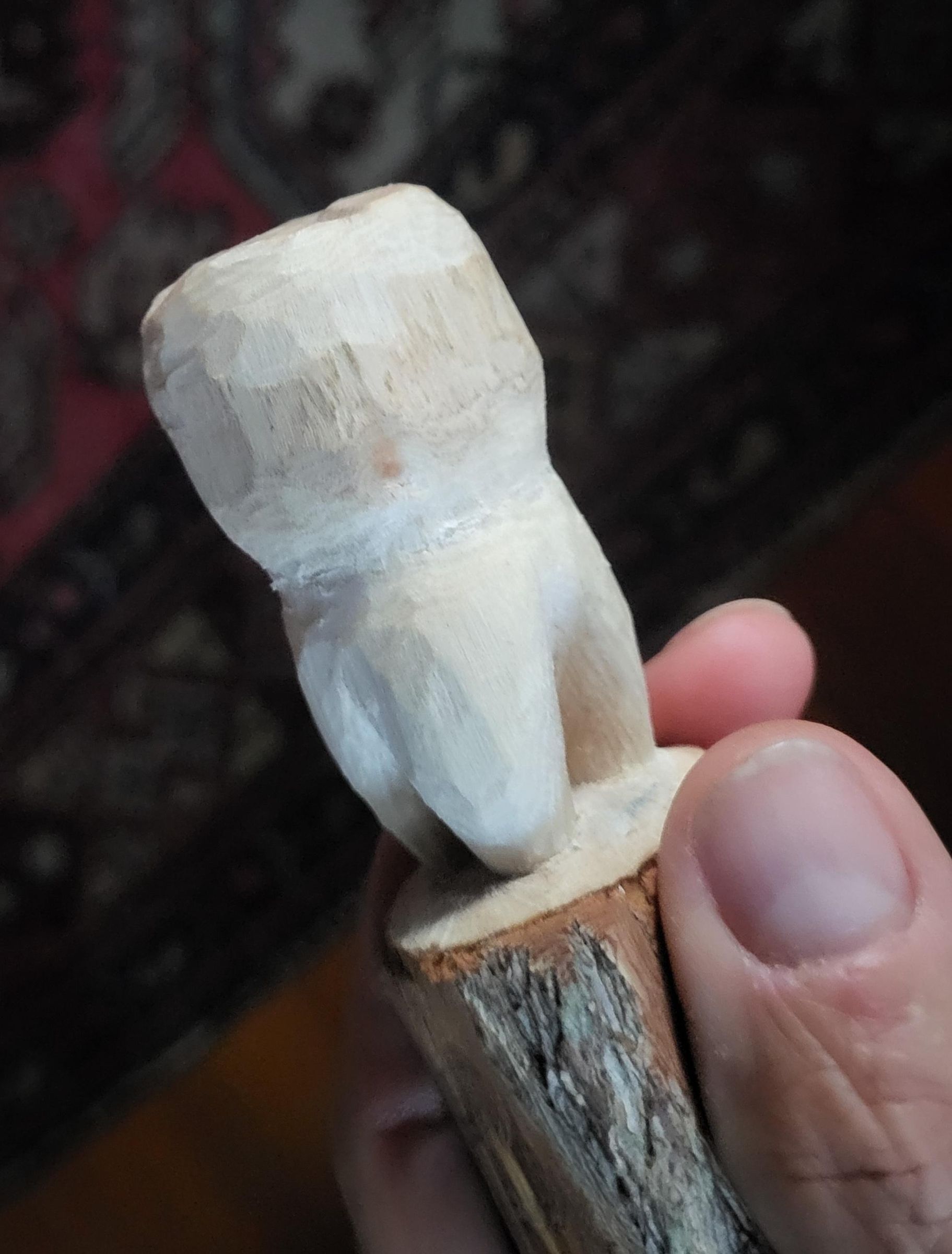 Wooden Tooth Carving : 5 Steps - Instructables