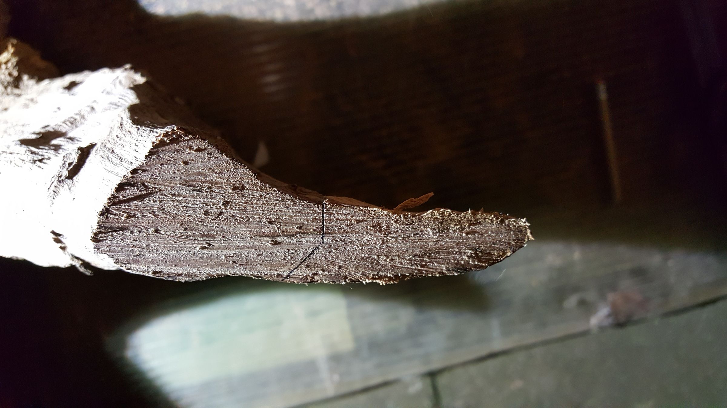 Tree Root Table With Custom Glass Top and Underlight : 10 Steps (with ...