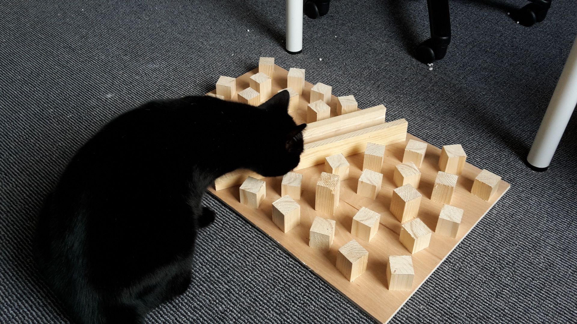 Foraging Board for Cats - Instructables