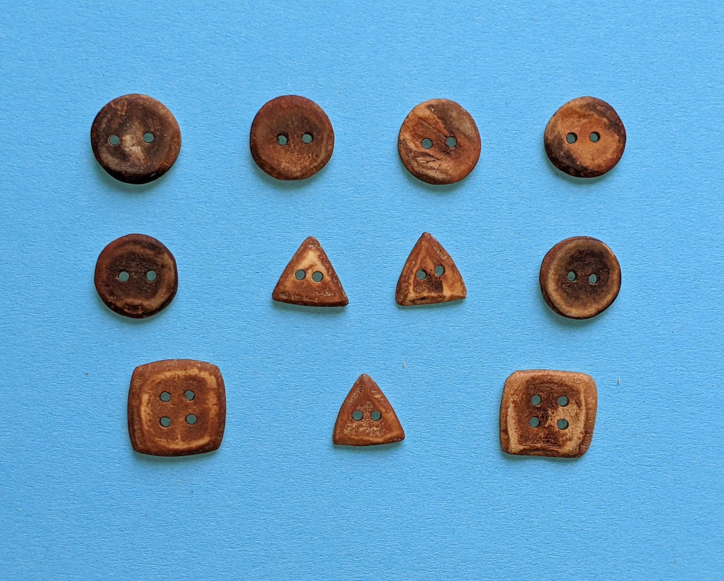 Buttons From Avocado Pits : 8 Steps (with Pictures) - Instructables