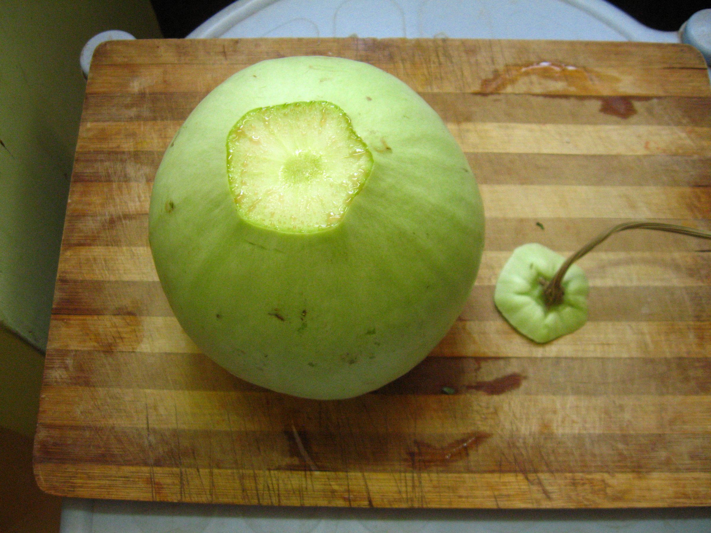 Seed Germination With Bottle Gourd Shell As Planter : 6 Steps (with ...
