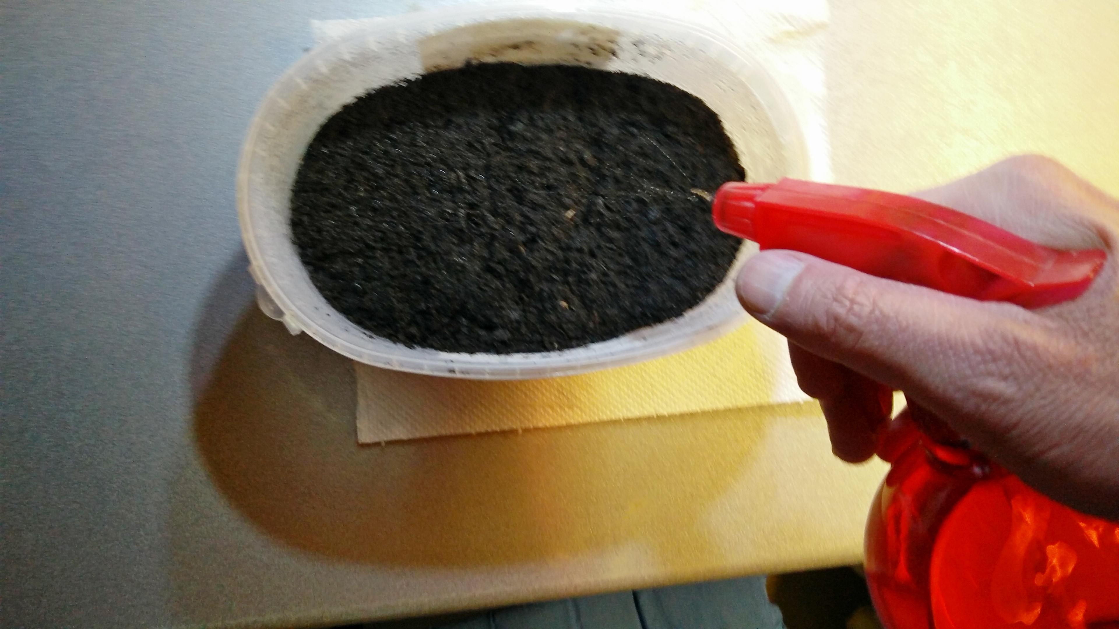 🌼 DIY Seedling Propagator From Recycled Plastic Container 🌼 : 12 Steps ...