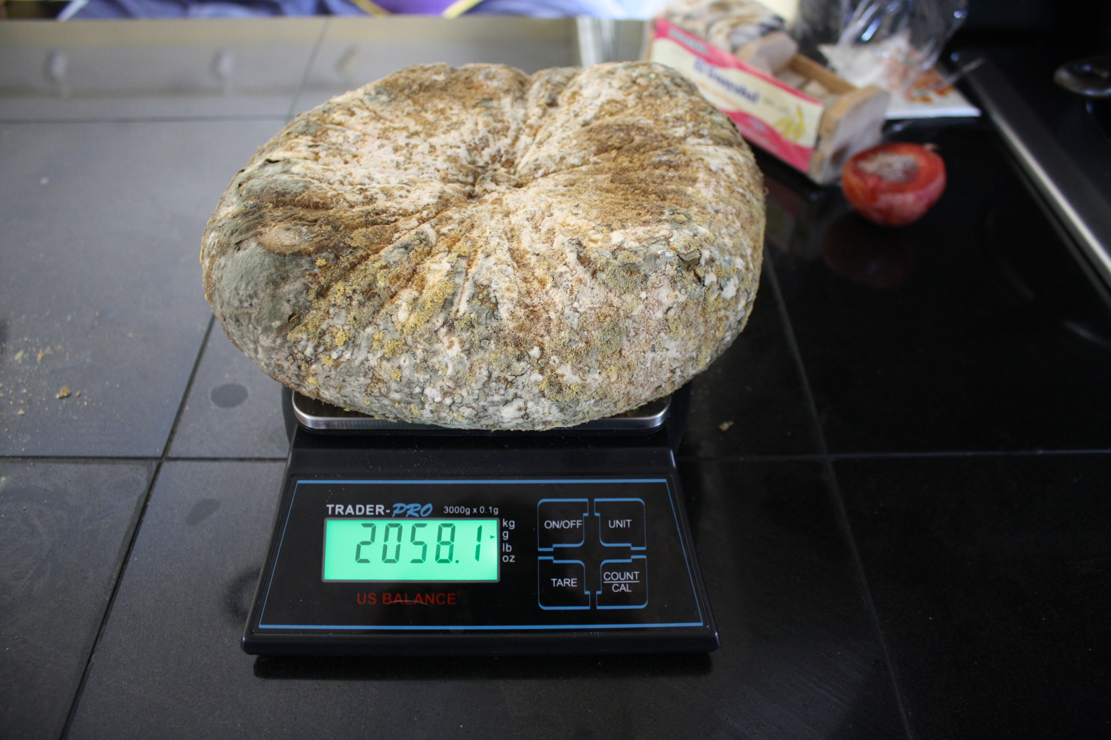 How to Make a Cave to Age Cheese : 8 Steps (with Pictures) - Instructables