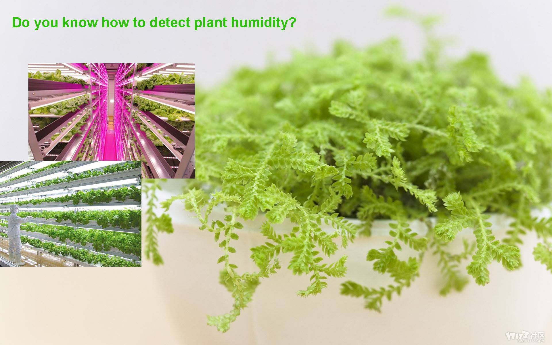 Plant Humidity Monitor : 8 Steps (with Pictures) - Instructables