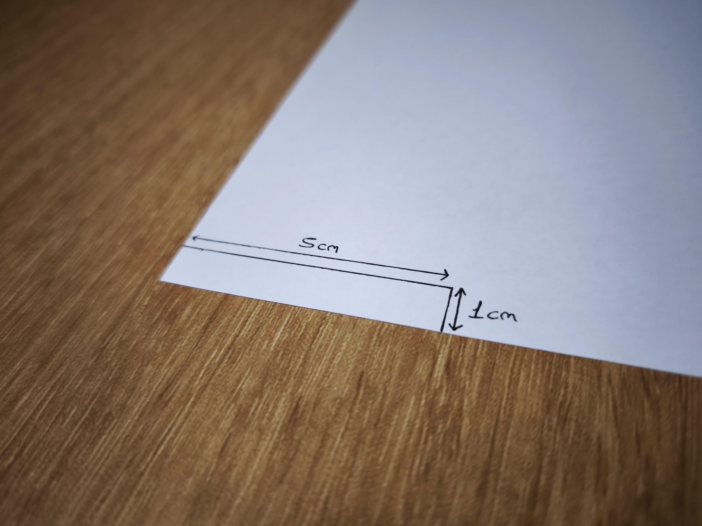 Homemade Horn : 9 Steps - Instructables